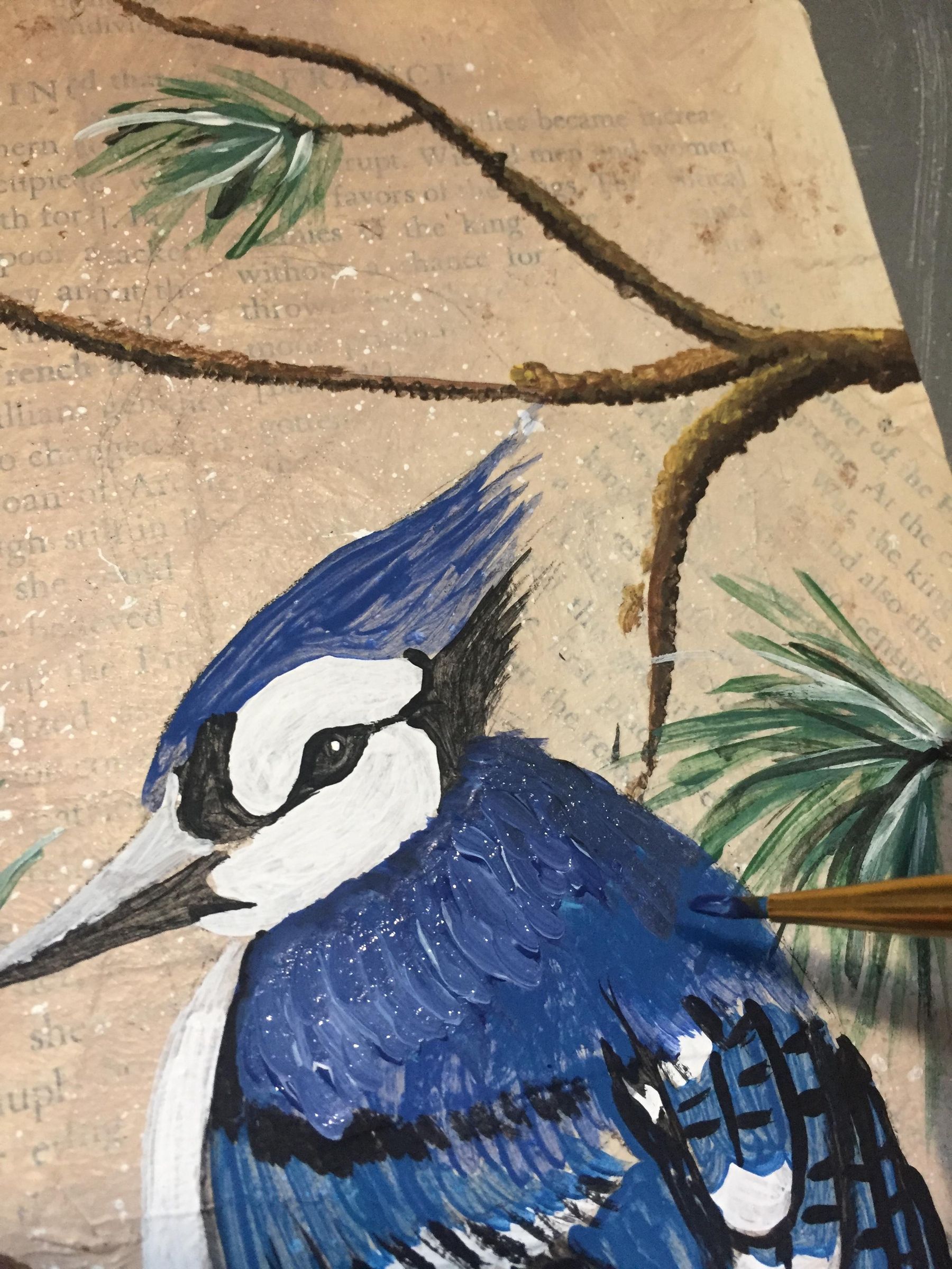 How to Paint a Blue Jay on a Branch. : 13 Steps (with Pictures ...