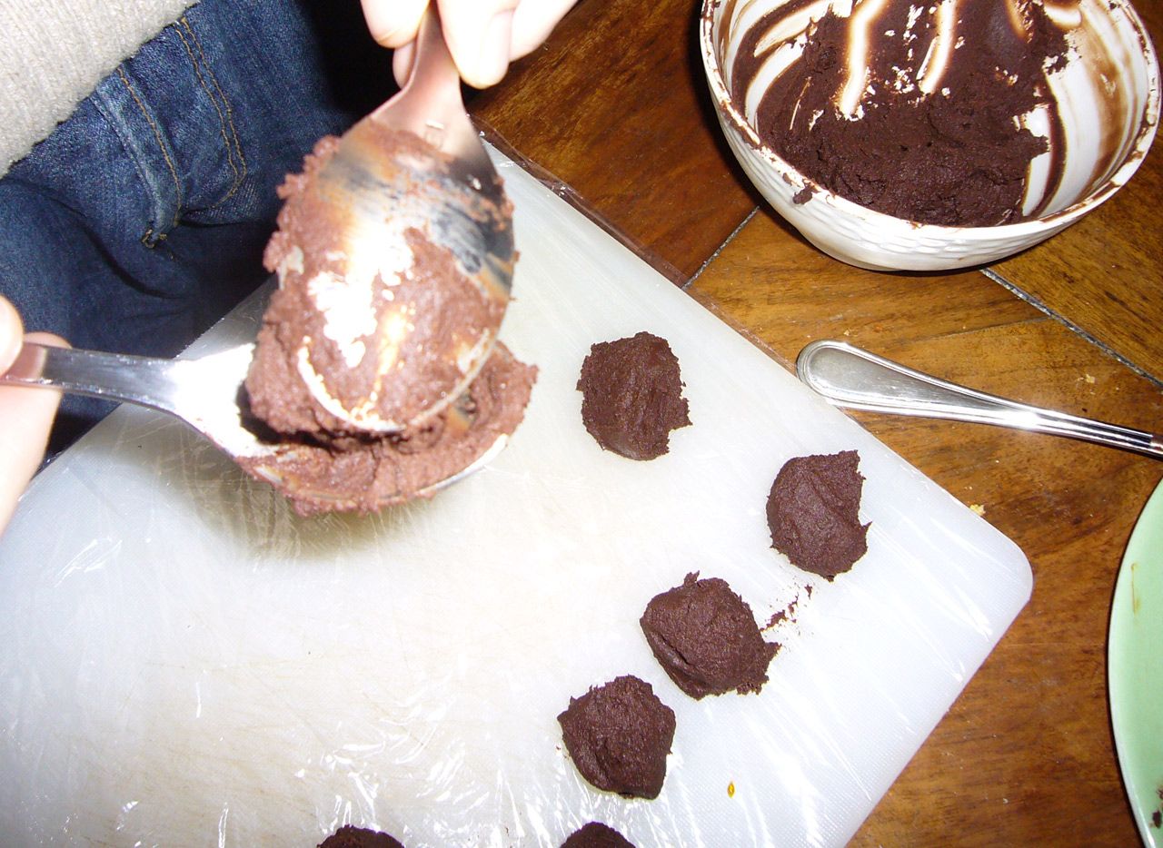 Anatomy of a Chocolate Truffle : 19 Steps (with Pictures) - Instructables