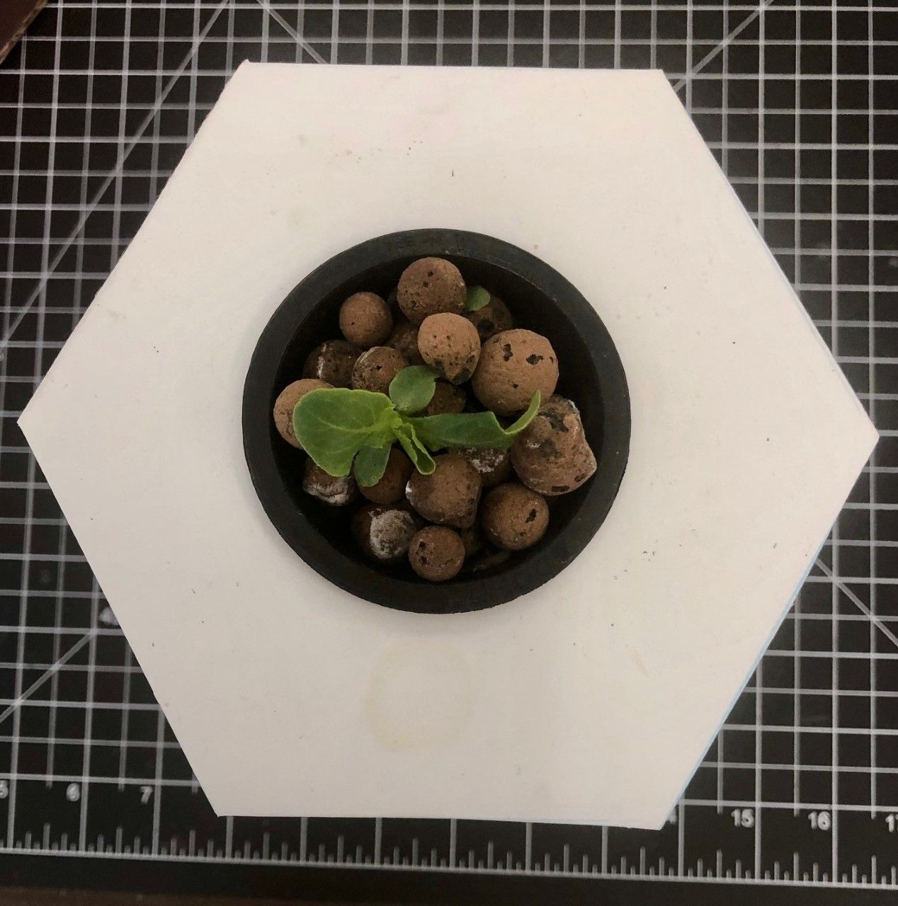 Hydrohex Planter : 16 Steps (with Pictures) - Instructables