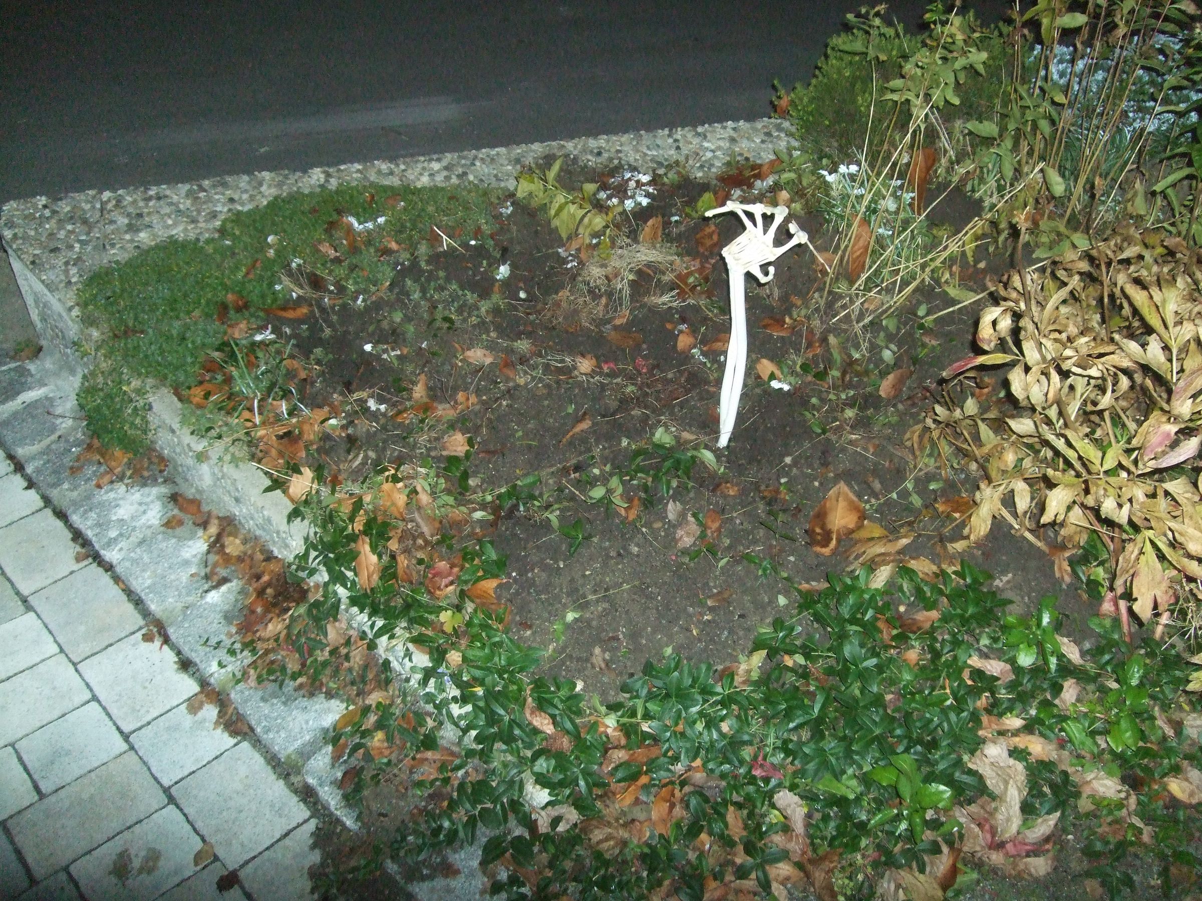 Front (grave)yard Hand : 8 Steps (with Pictures) - Instructables