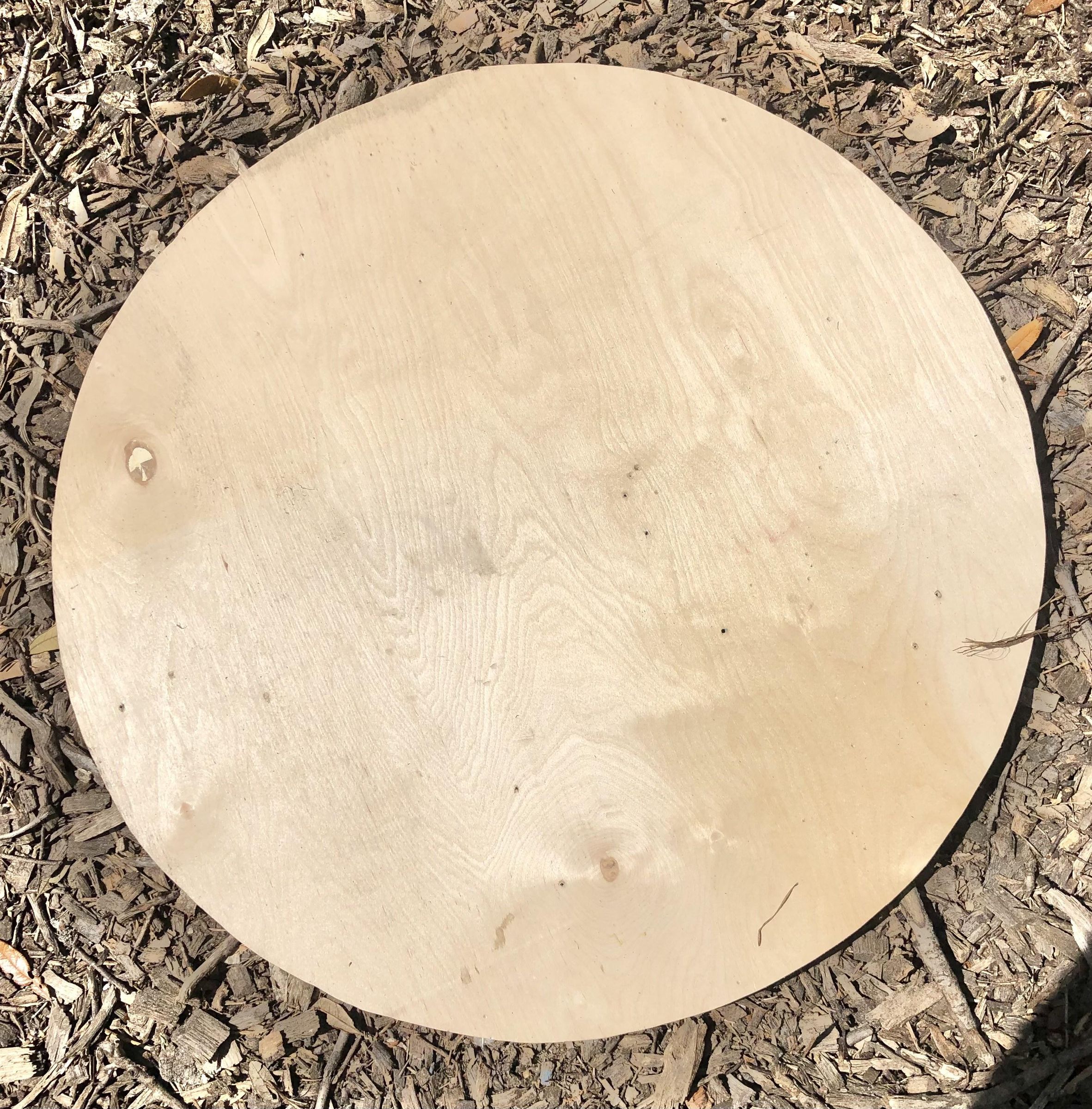 How to Make a Viking Round-Shield : 12 Steps (with Pictures ...