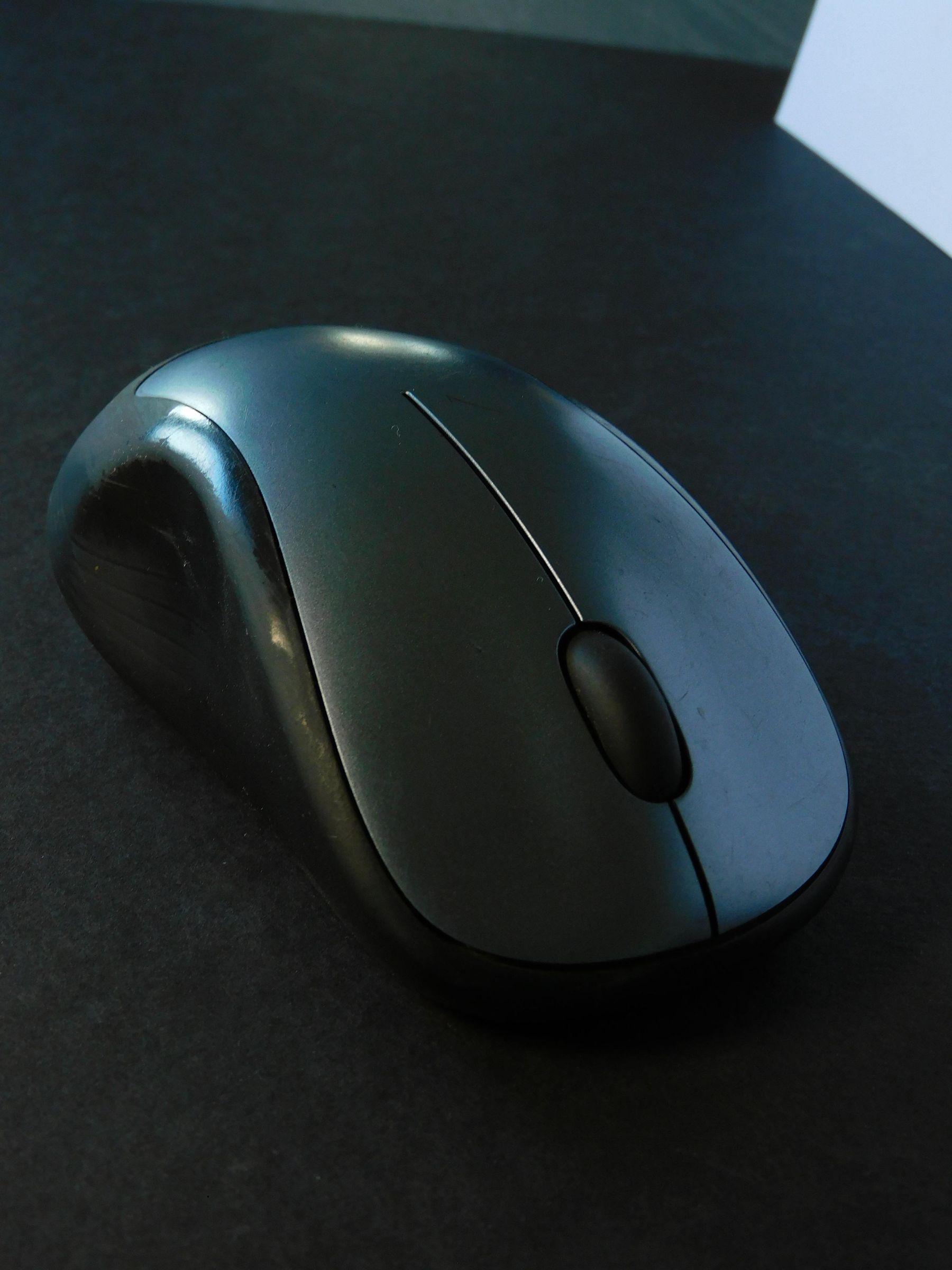 How to Make Your Loud Mouse MUCH Quieter (SO EASY!!!) : 4 Steps ...
