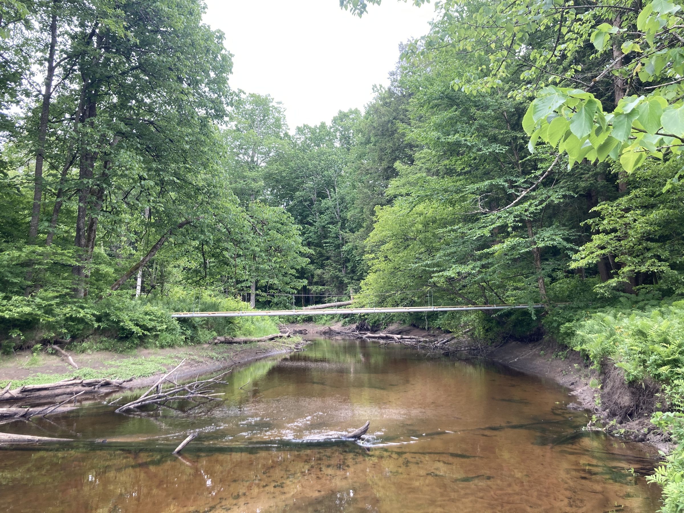 Building a Small Cable Suspension Bridge - the Basics Plus a Video Demo ...