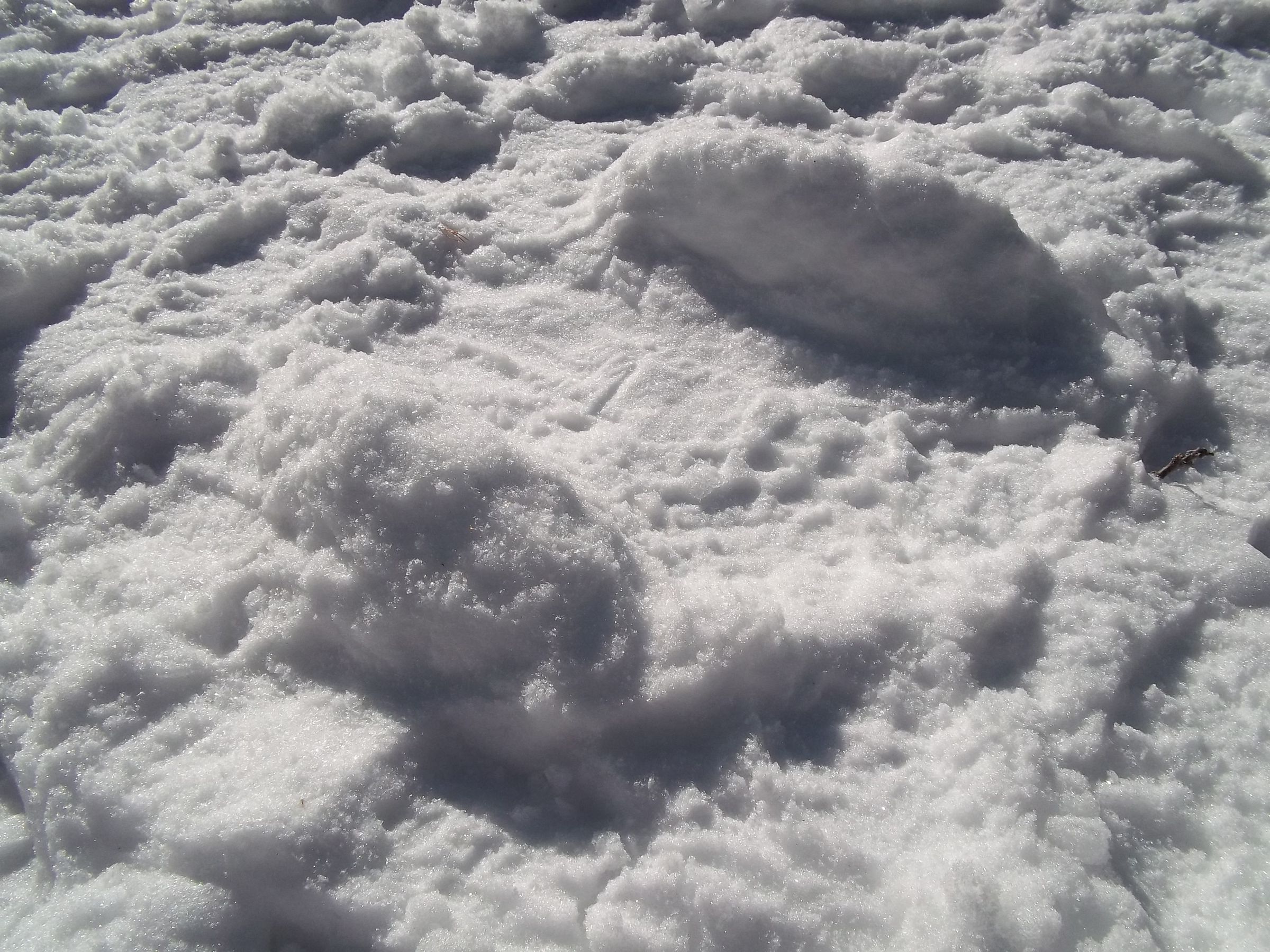 How to Make a Snow Shelter : 5 Steps - Instructables