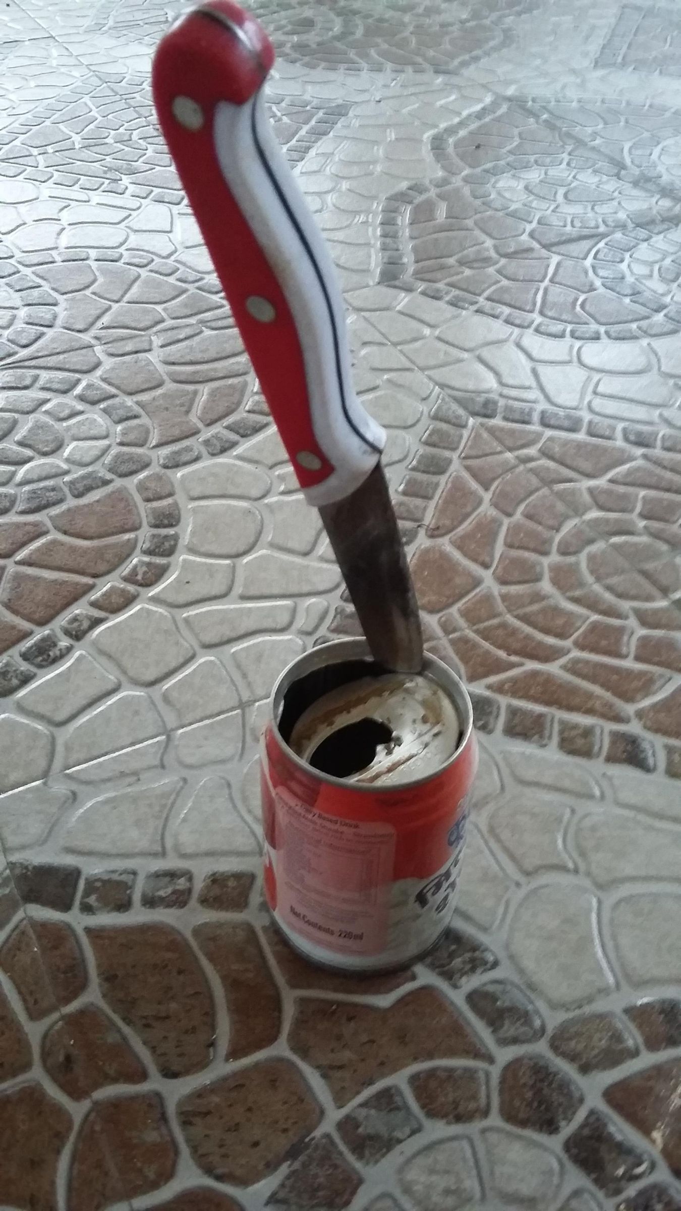 Soda Can Planters : 4 Steps - Instructables