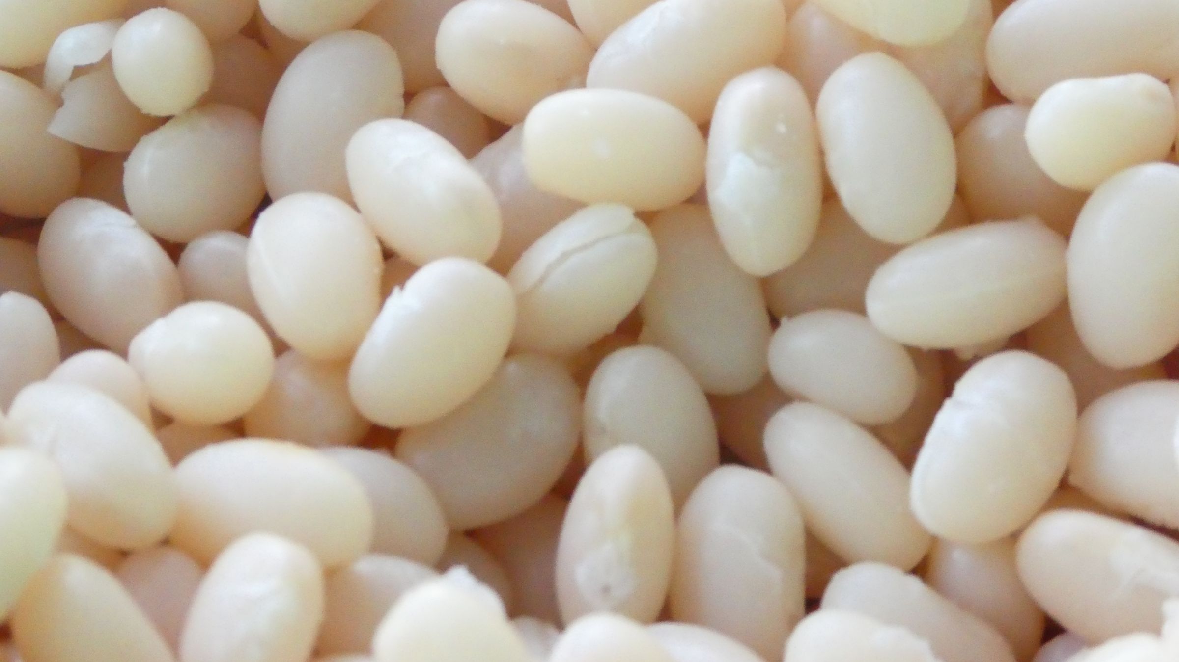 Fake Almond Cake : 12 Steps (with Pictures) - Instructables