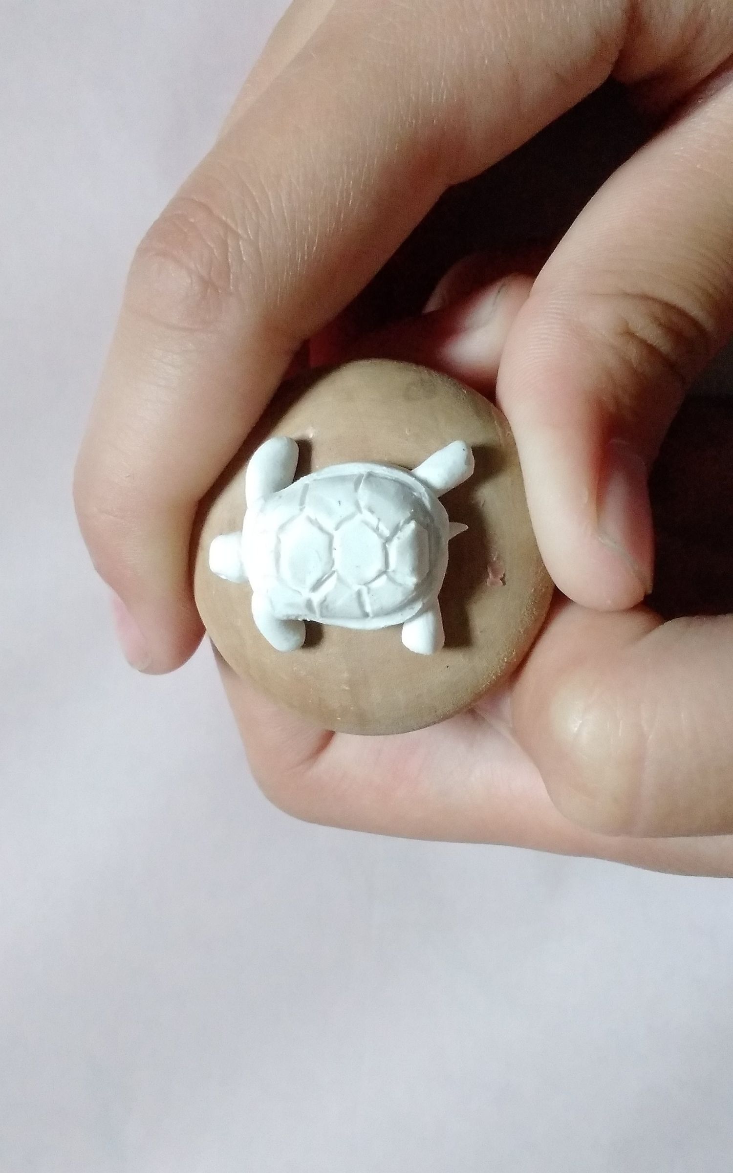 Matchbox Pet : 5 Steps (with Pictures) - Instructables