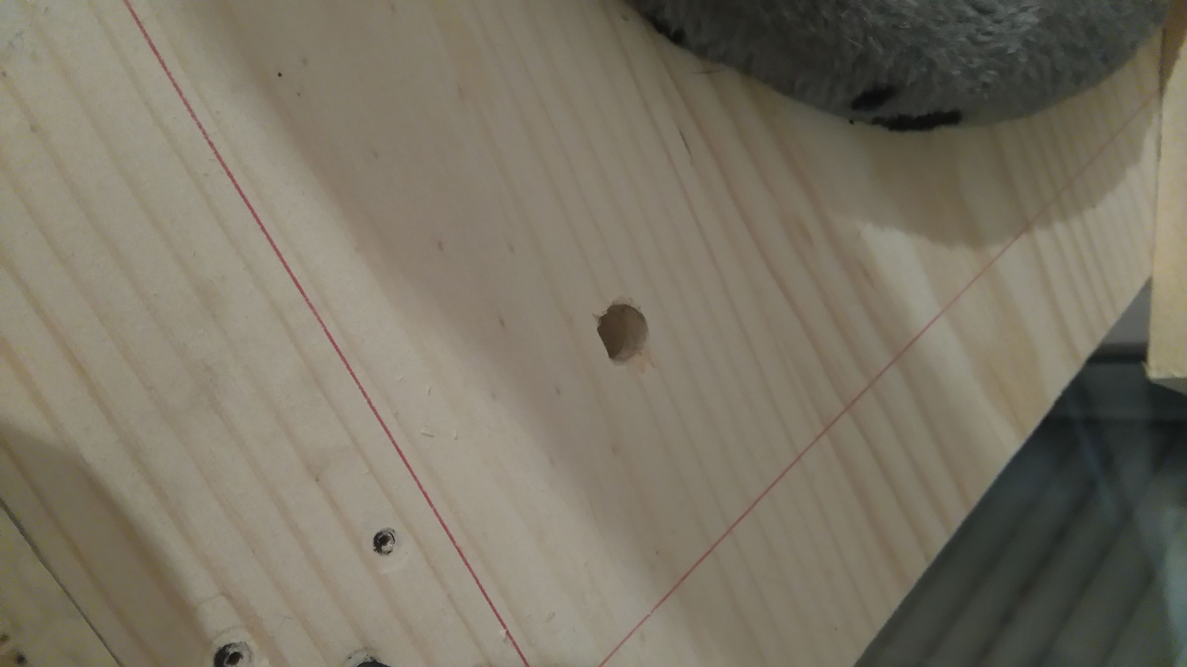 Cardboard Scratching Post : 4 Steps (with Pictures) - Instructables