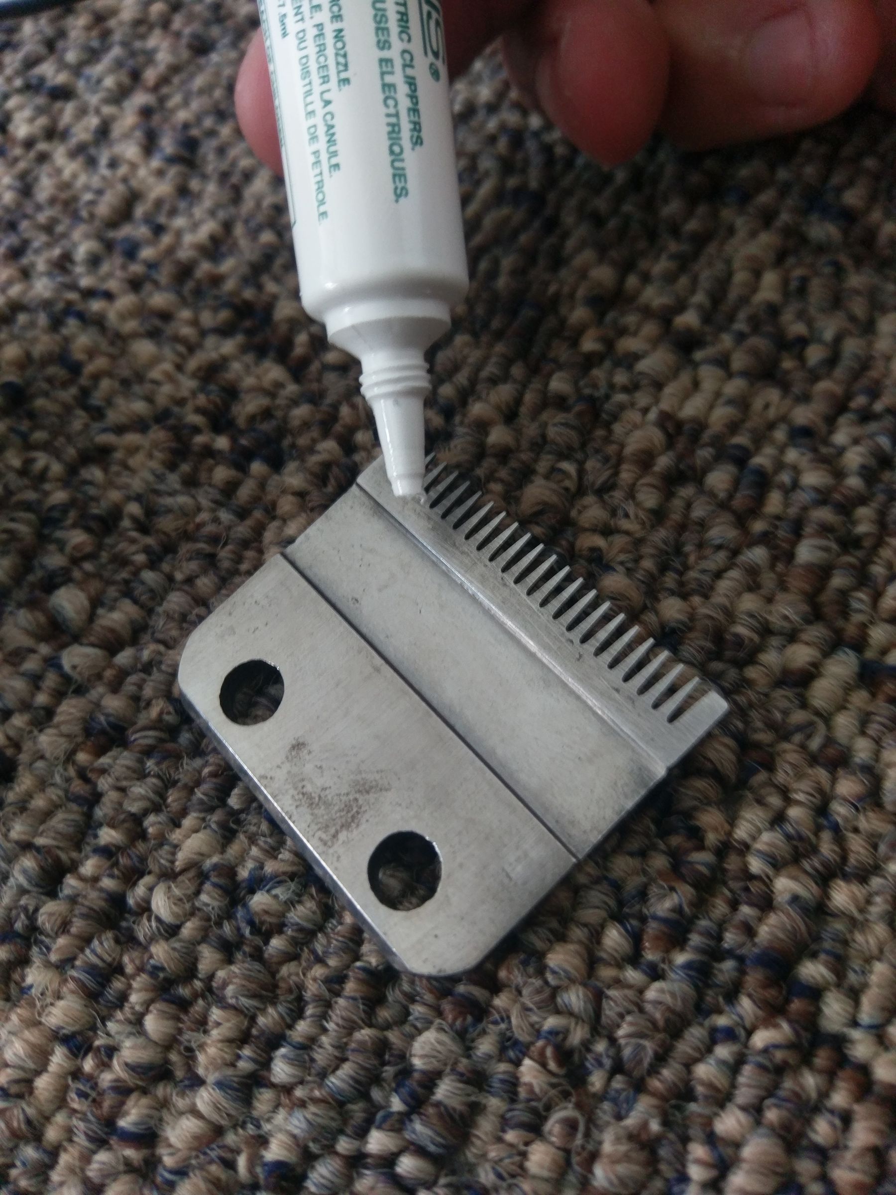 Clipper Maintenance : 5 Steps (with Pictures) - Instructables