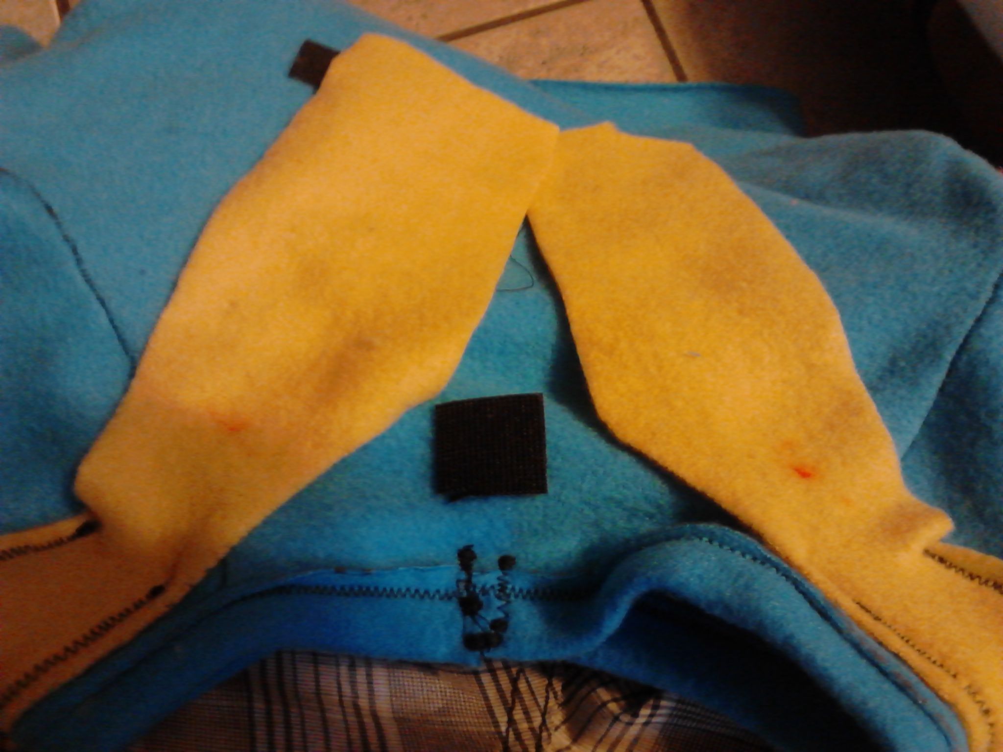 Squirtle Costume : 7 Steps - Instructables