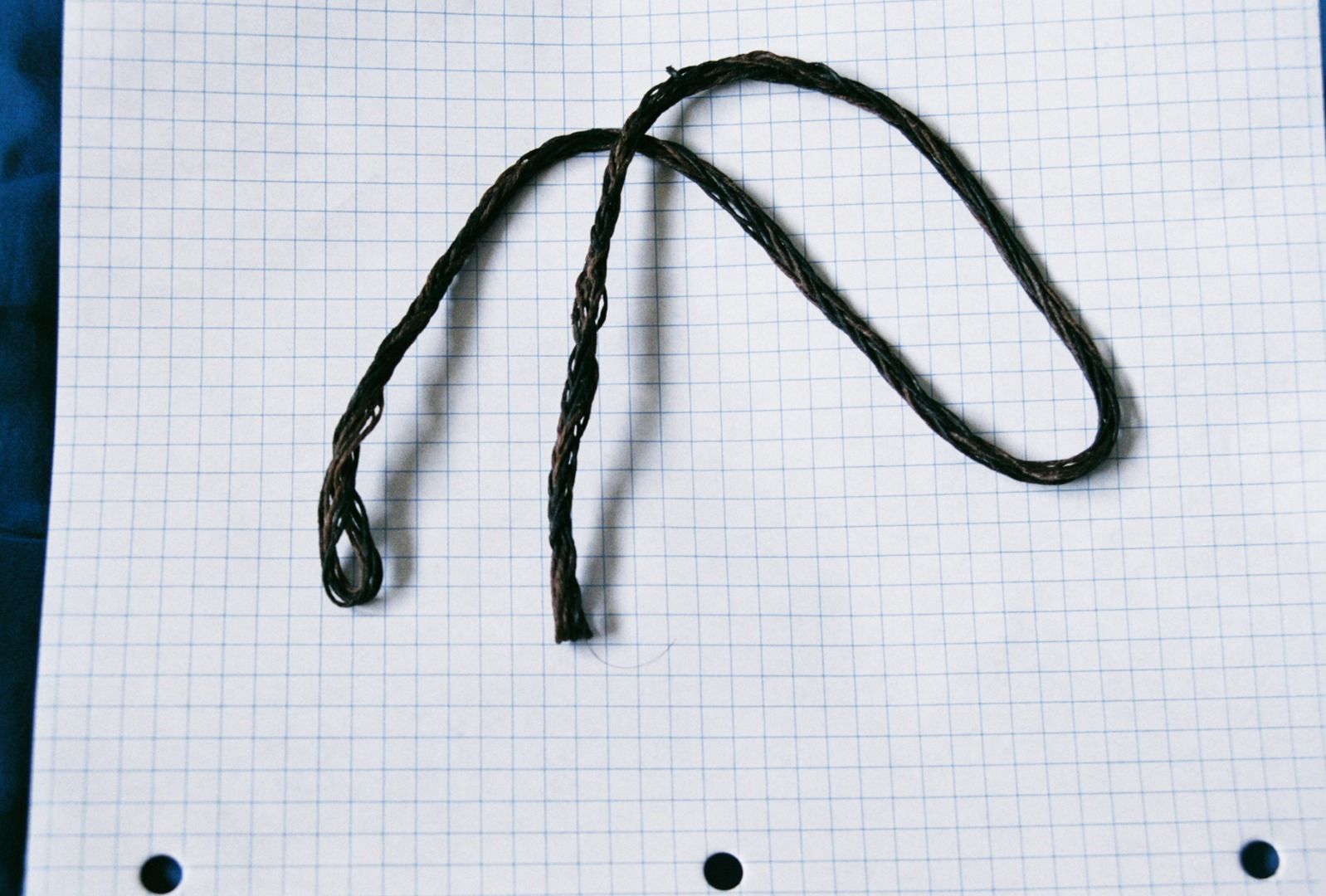 Paw Bone Necklace : 7 Steps (with Pictures) - Instructables