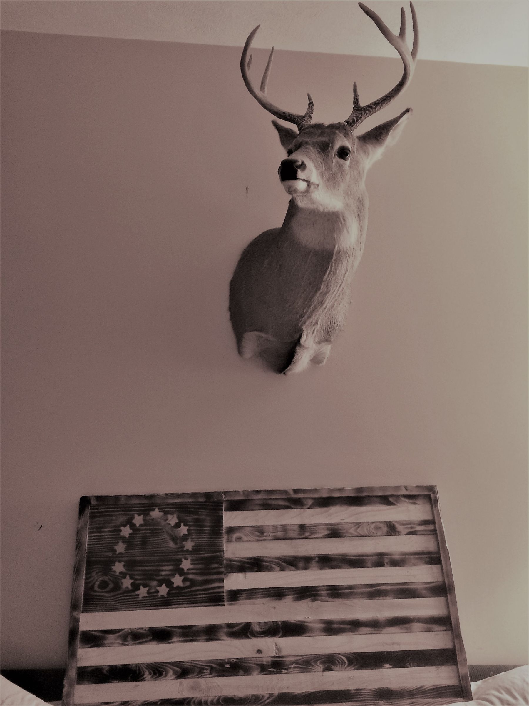 Pallet Wood American Flag (A.K.A. the Pyro Flag) : 15 Steps (with ...