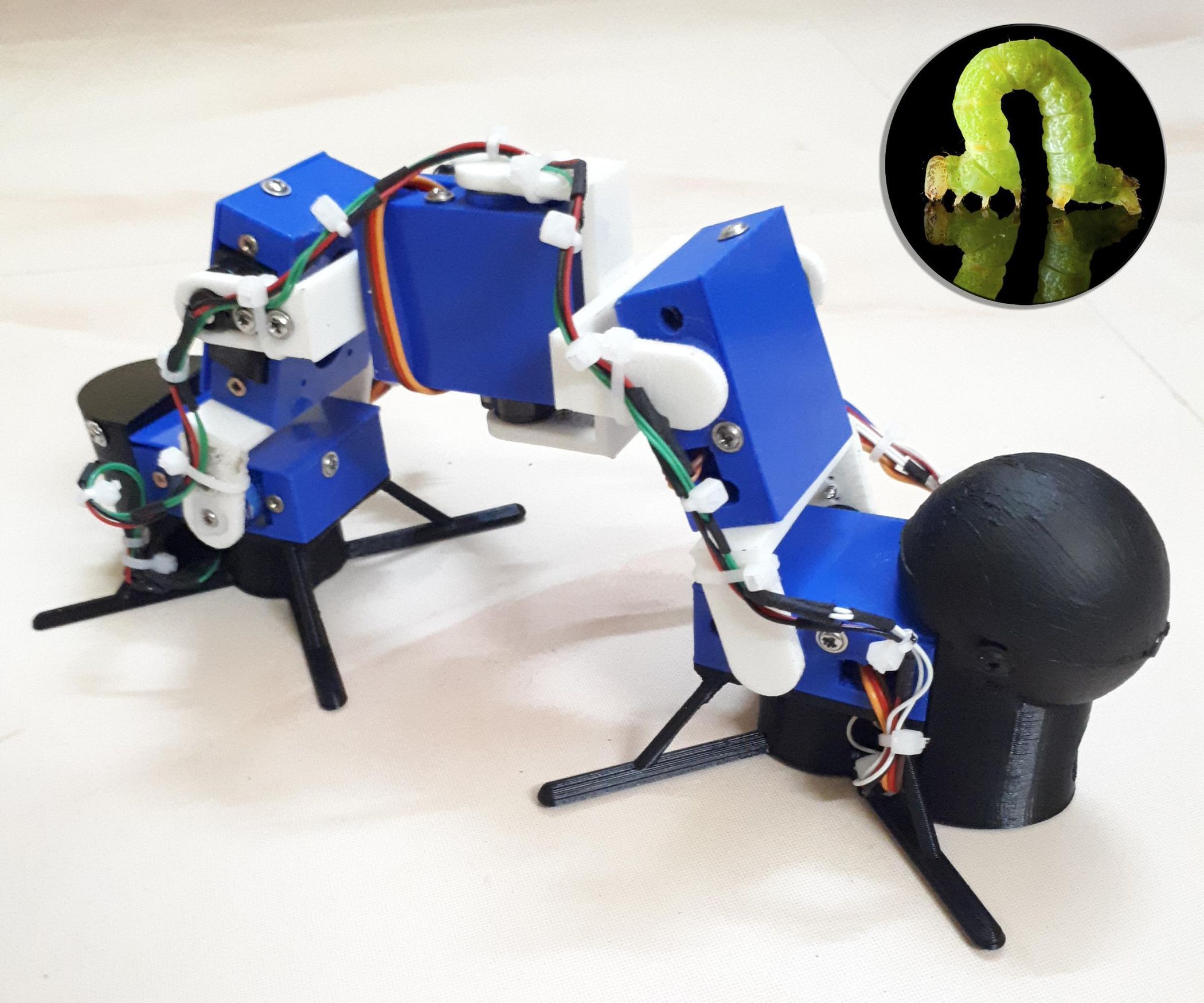 Inchworm Robot - Modular, Move Allsides With BT App : 22 Steps (with ...