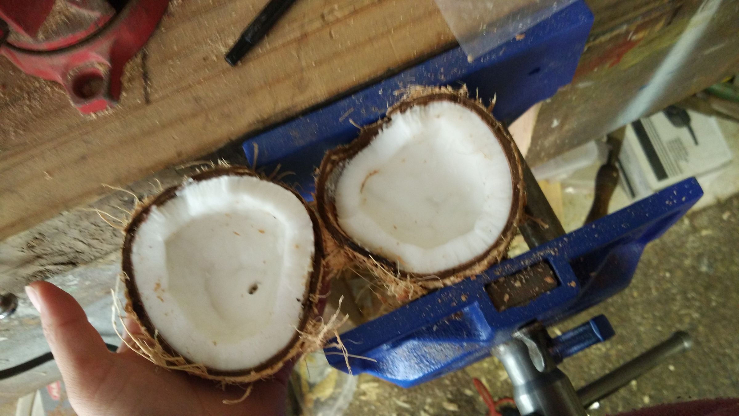 How to Make Coconut Oil : 8 Steps (with Pictures) - Instructables