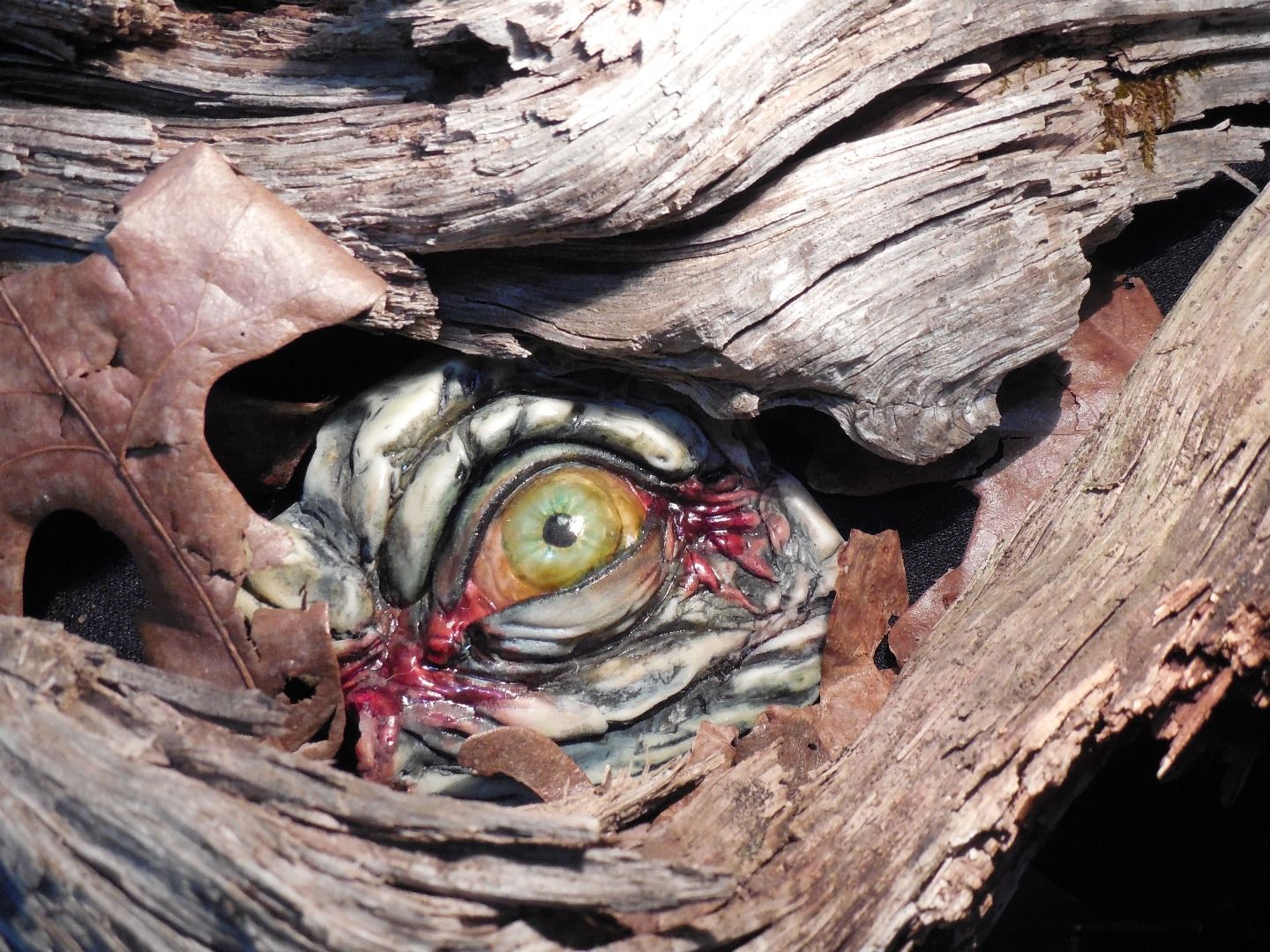 Edible Eye : 6 Steps (with Pictures) - Instructables