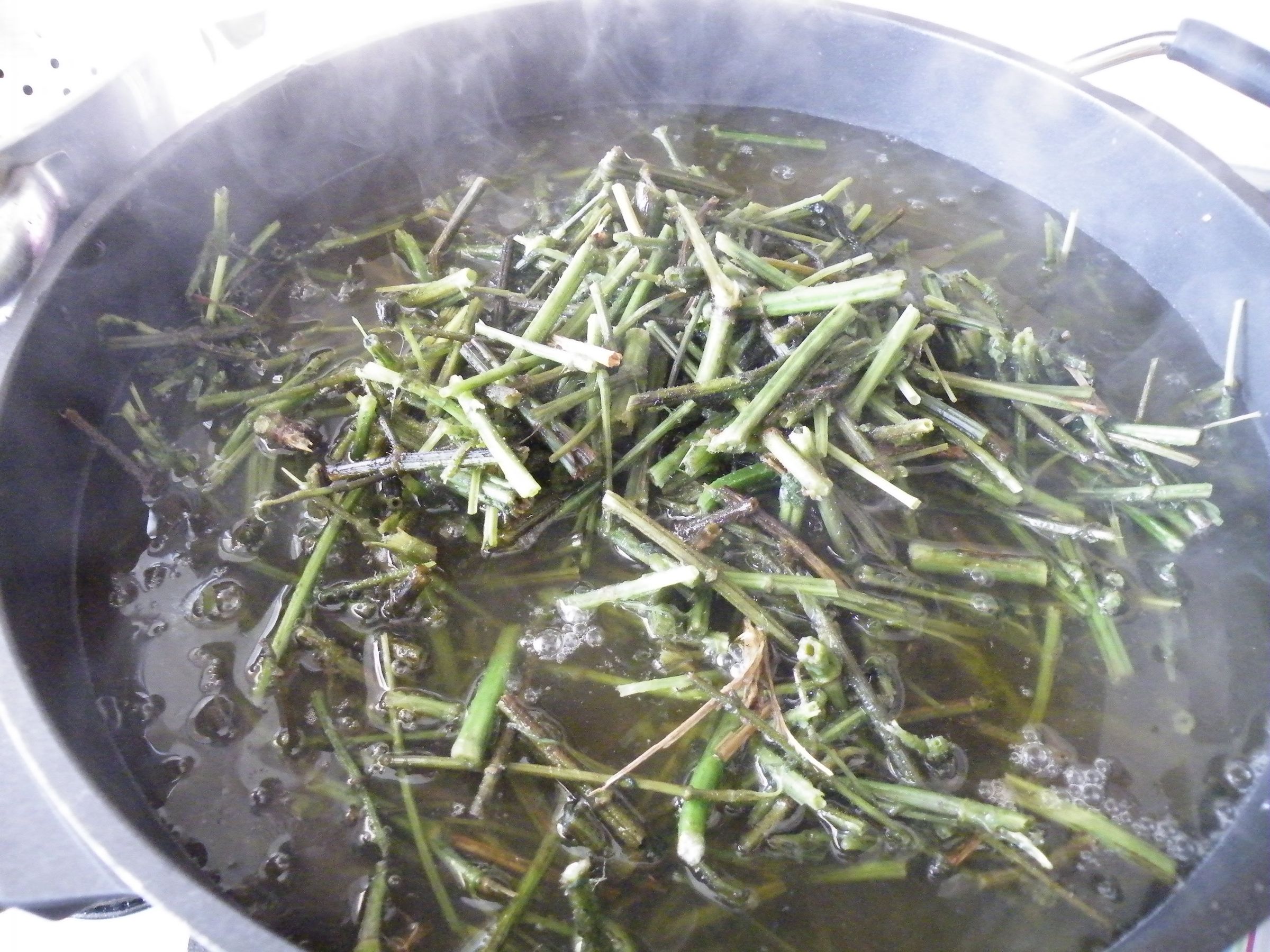 How to Make Paper : 15 Steps (with Pictures) - Instructables