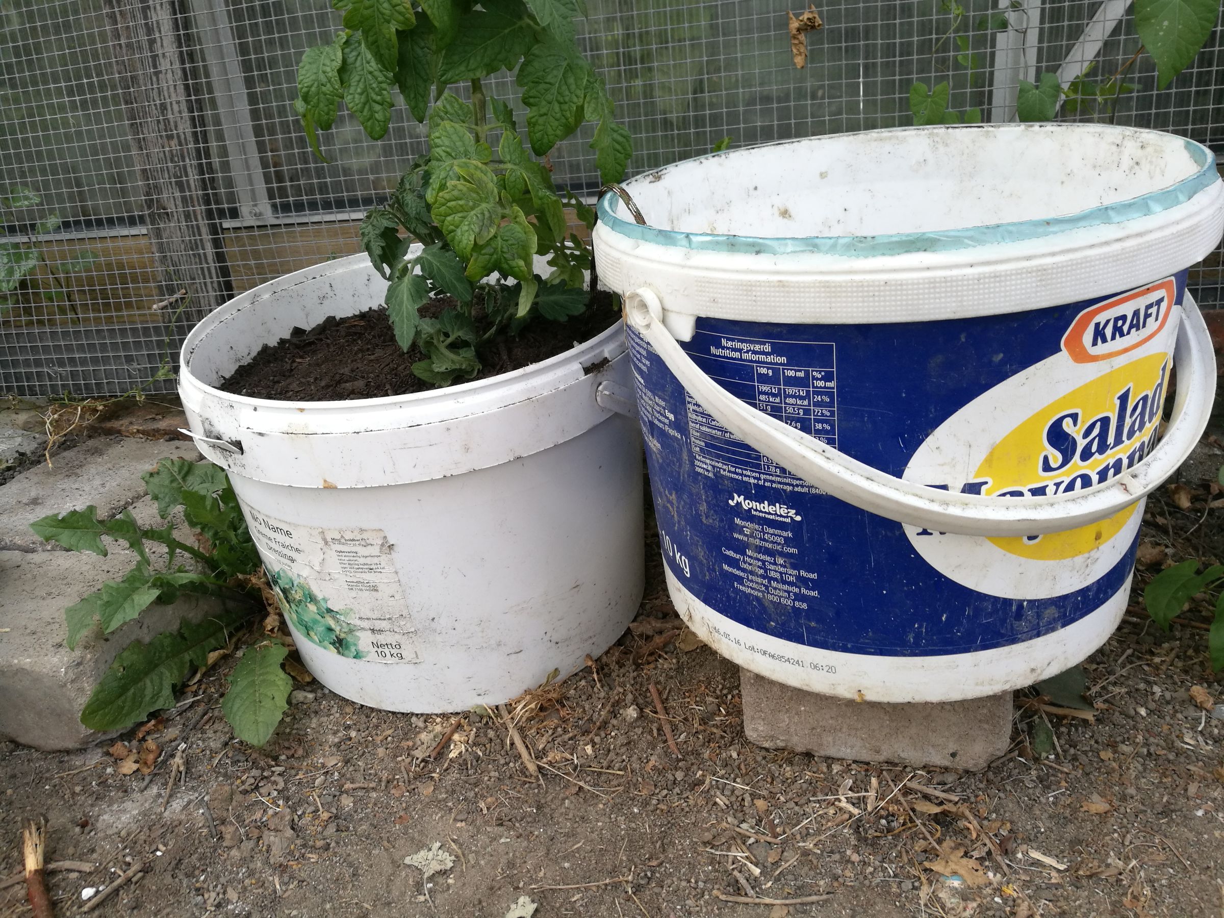 Simple Wicking System : 4 Steps - Instructables