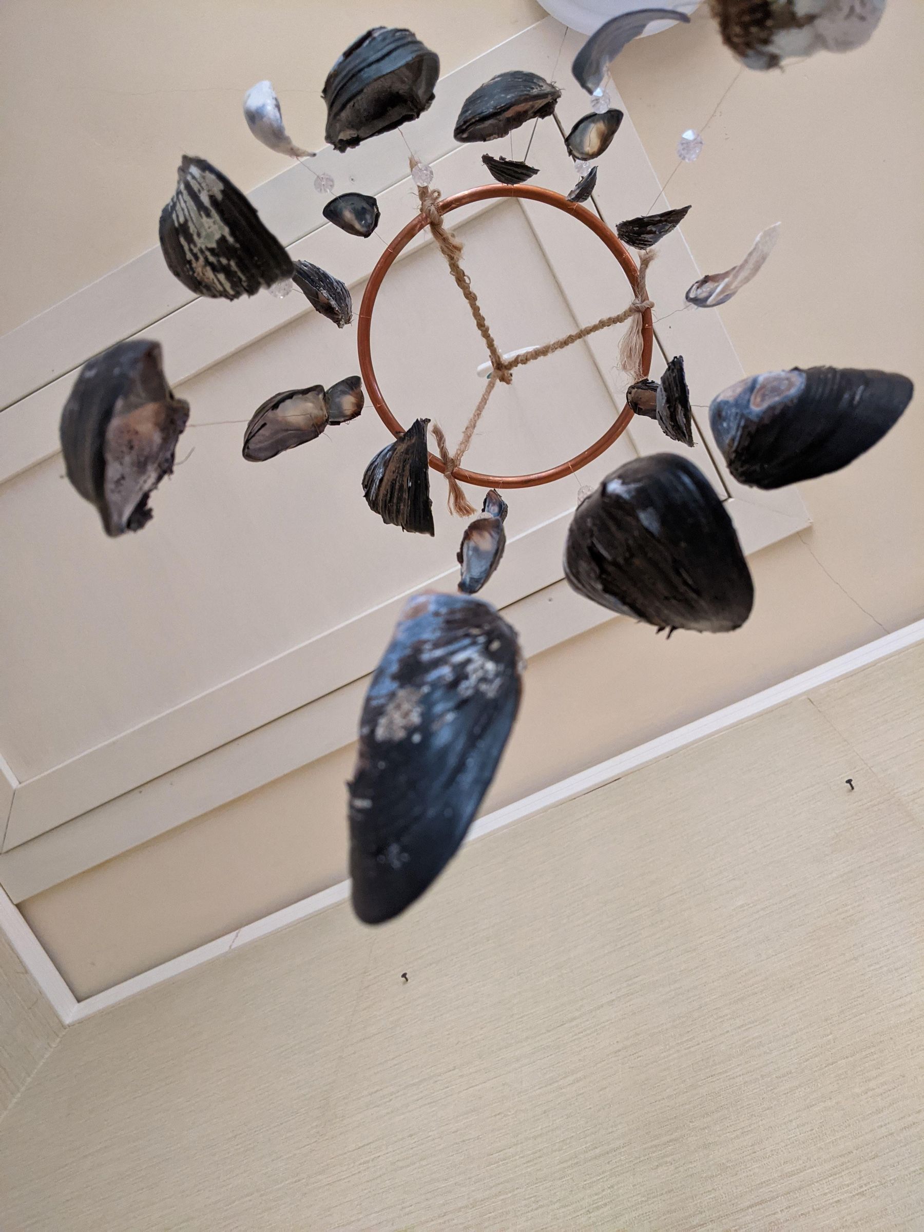 Mussel Shell Hanging Mobile : 6 Steps (with Pictures) - Instructables