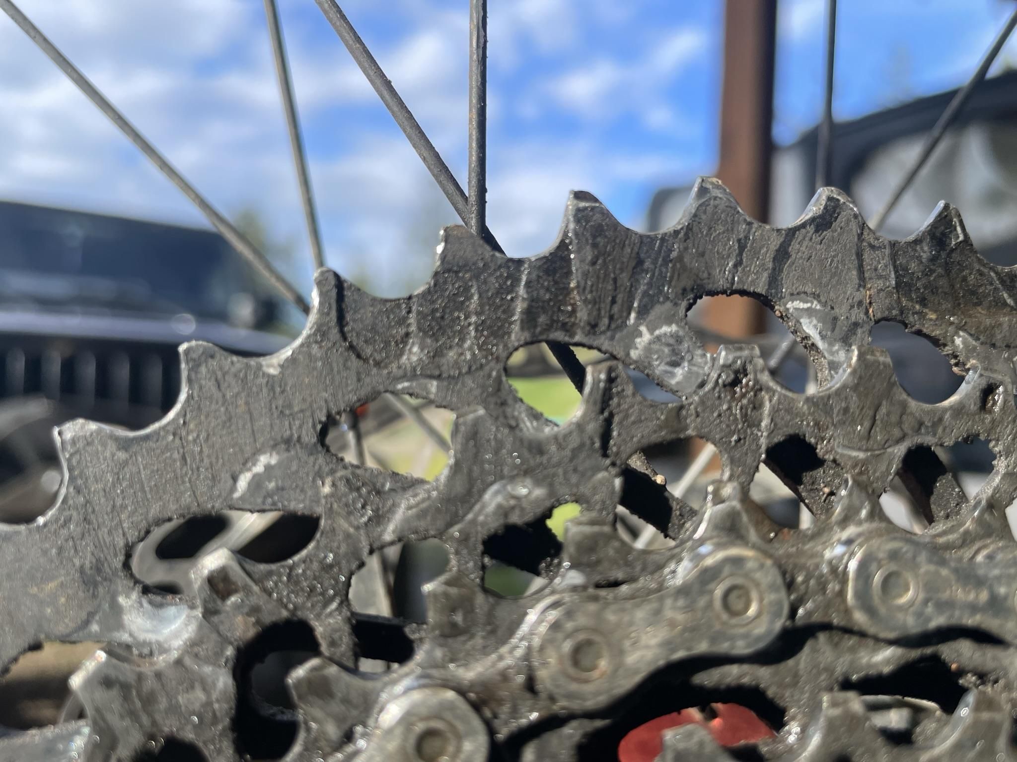 Servicing the Cassette and Pawls on an XD Driver : 6 Steps (with ...