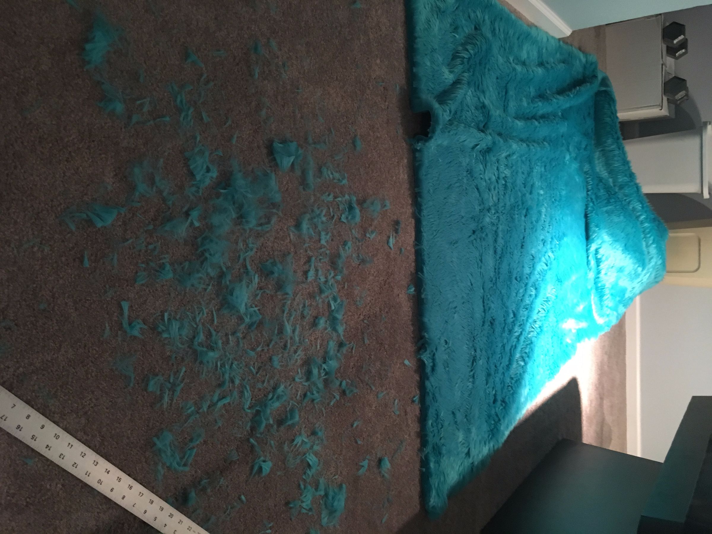 Sully From Monsters Inc : 11 Steps (with Pictures) - Instructables