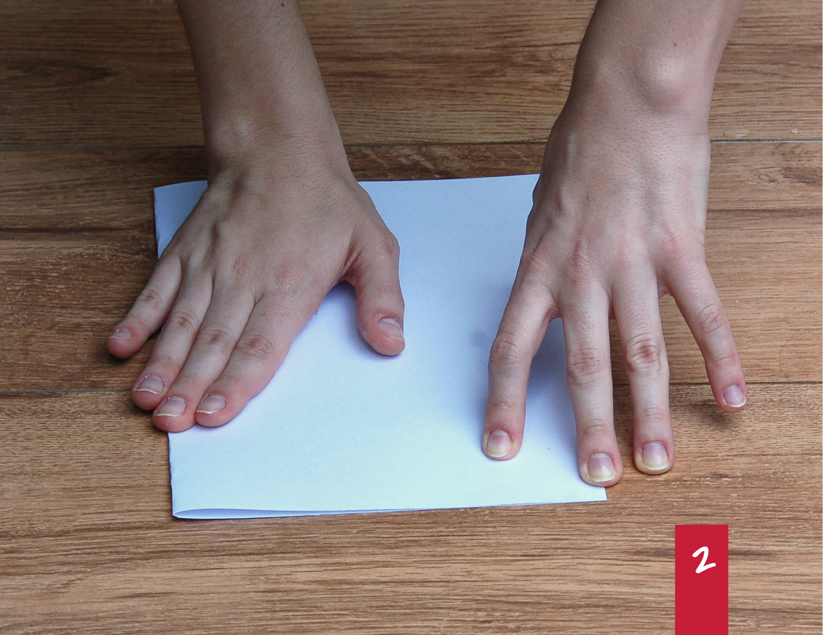 French Link Stitch Bookbinding : 8 Steps (with Pictures) - Instructables