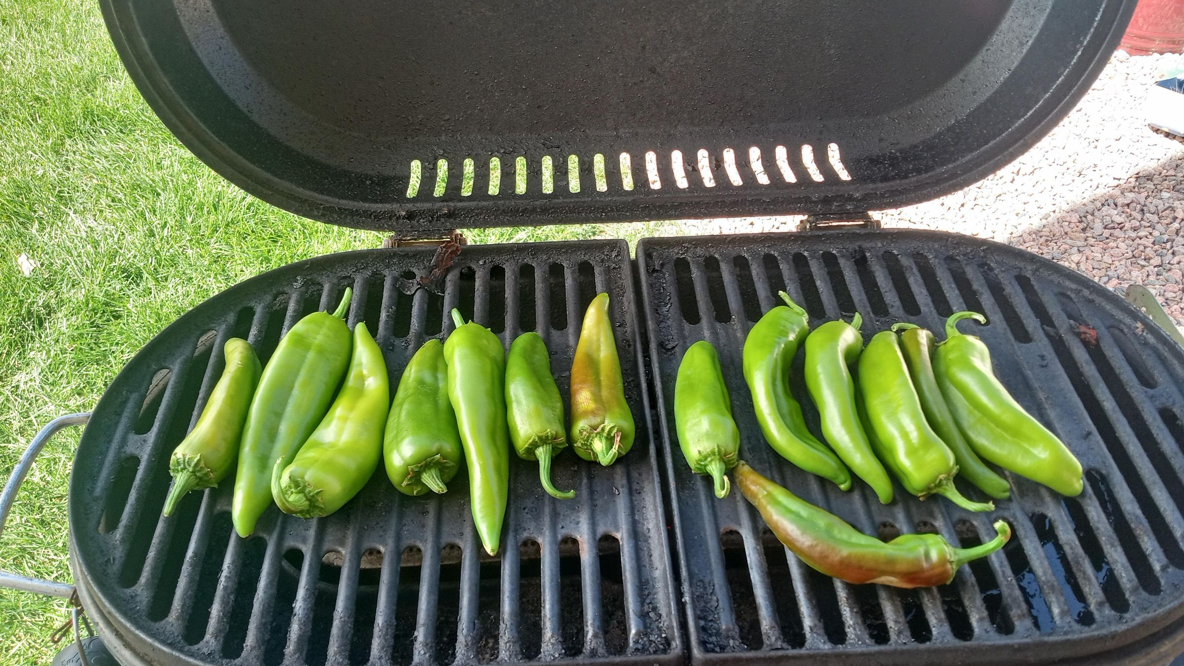 Roasting Green Chiles on Your Grill : 3 Steps - Instructables