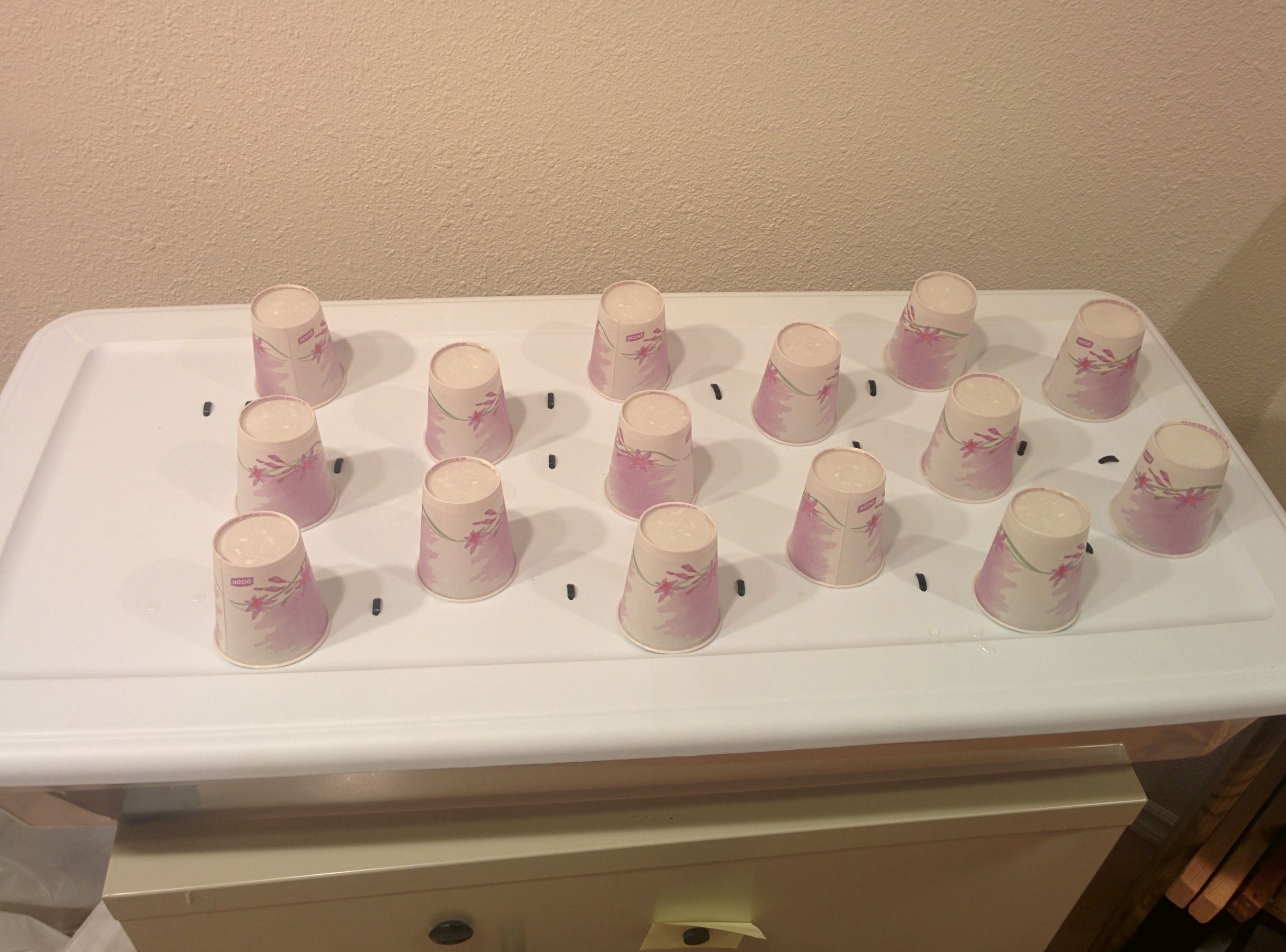 Simple Hydroponic System : 5 Steps - Instructables