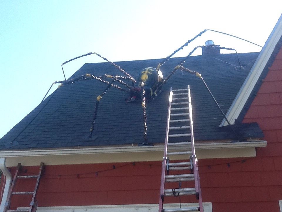 Giant Spider With Webified Victim! : 11 Steps (with Pictures ...