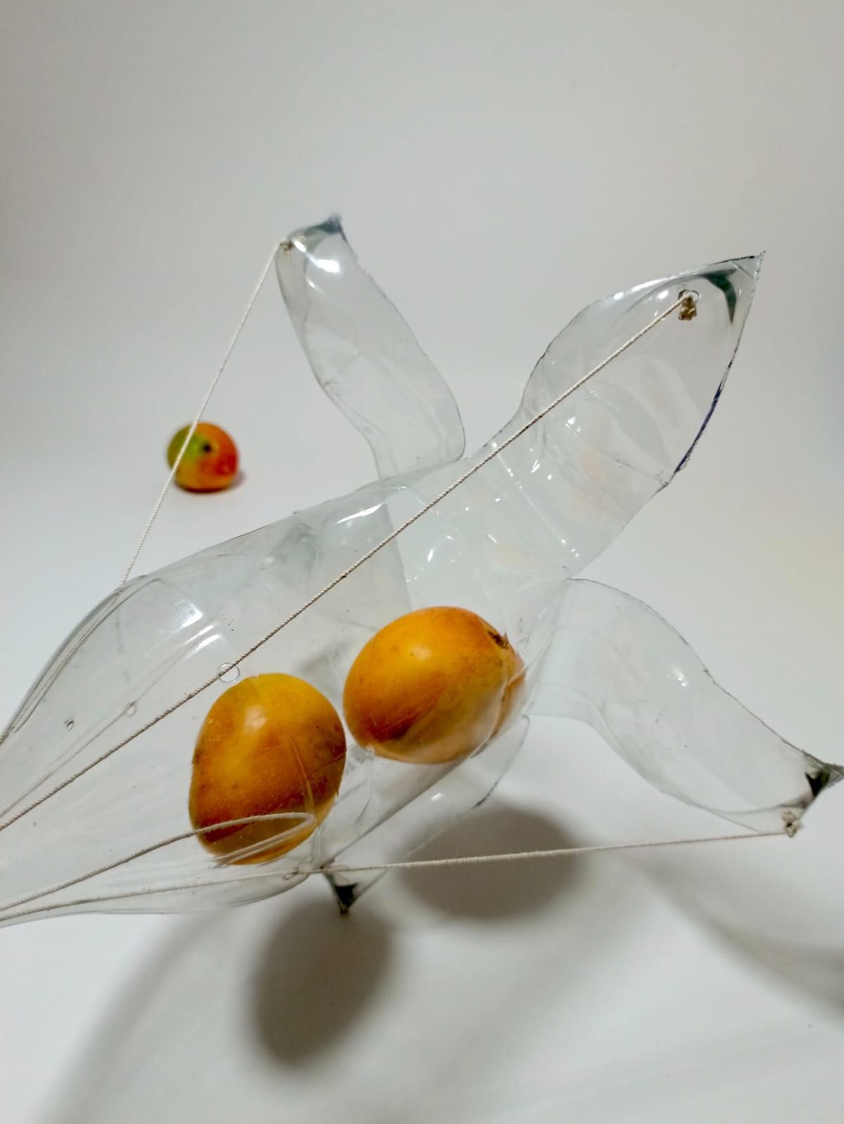 Homemade Fruit Picker : 14 Steps (with Pictures) - Instructables