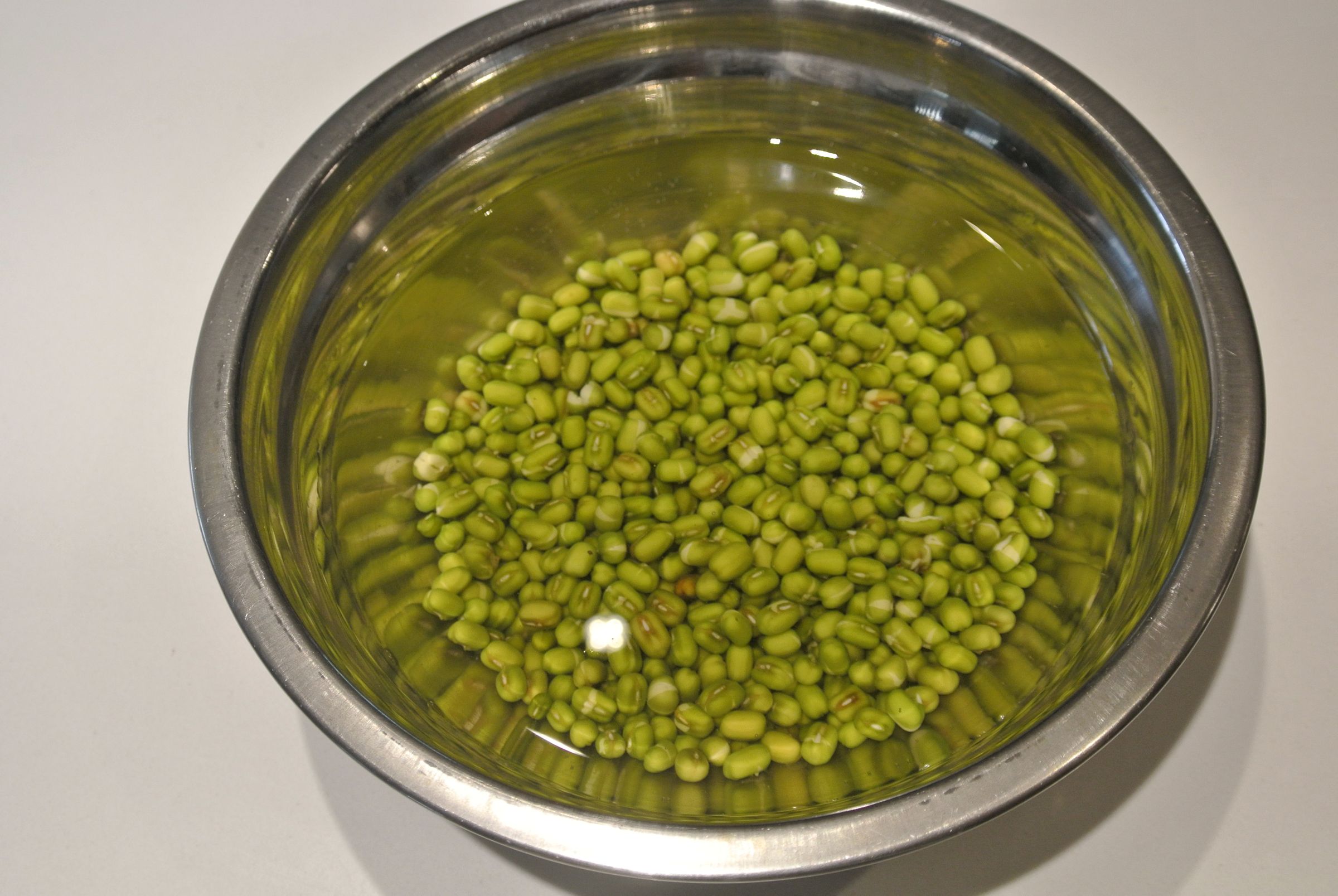Growing Bean Sprouts : 7 Steps (with Pictures) - Instructables