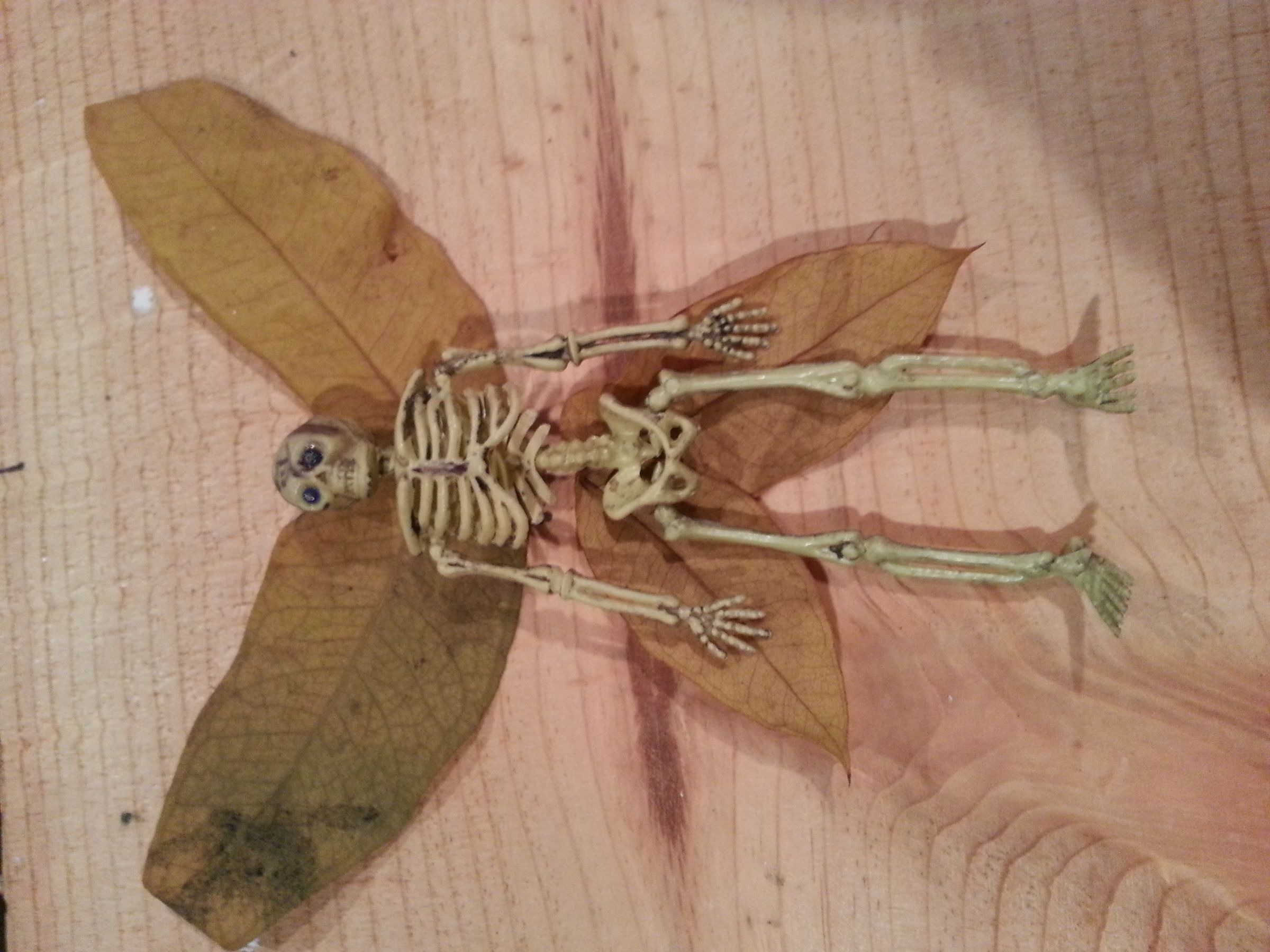 Dead Fairies Part 3 : 5 Steps - Instructables
