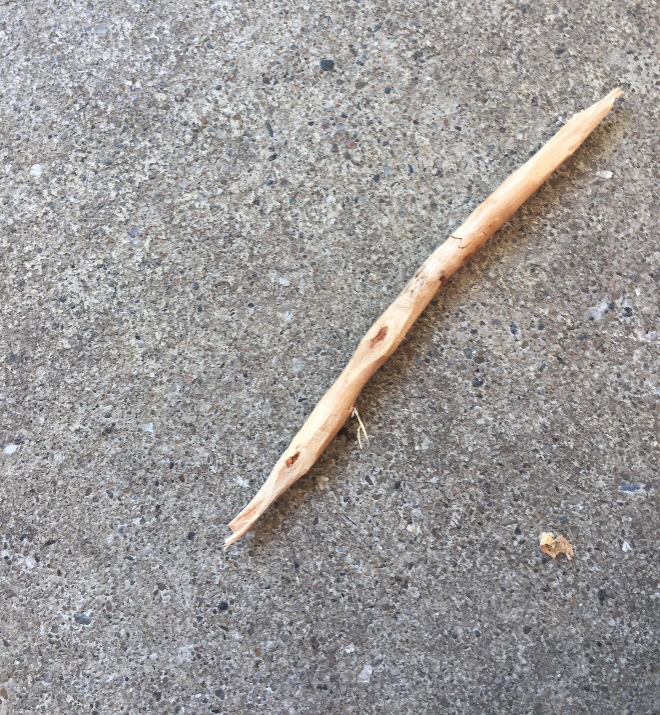 Stick Into Toothpick : 5 Steps - Instructables