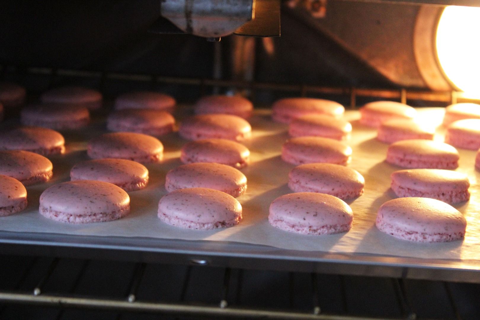 Passable (Beginner's) Macarons : 12 Steps (with Pictures) - Instructables