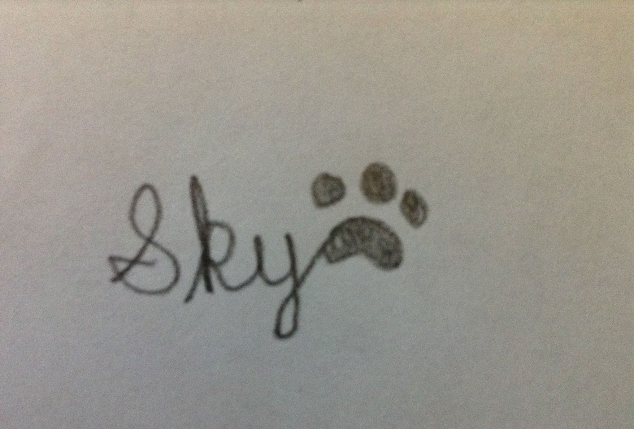 How to Draw Sky the Dog : 12 Steps - Instructables