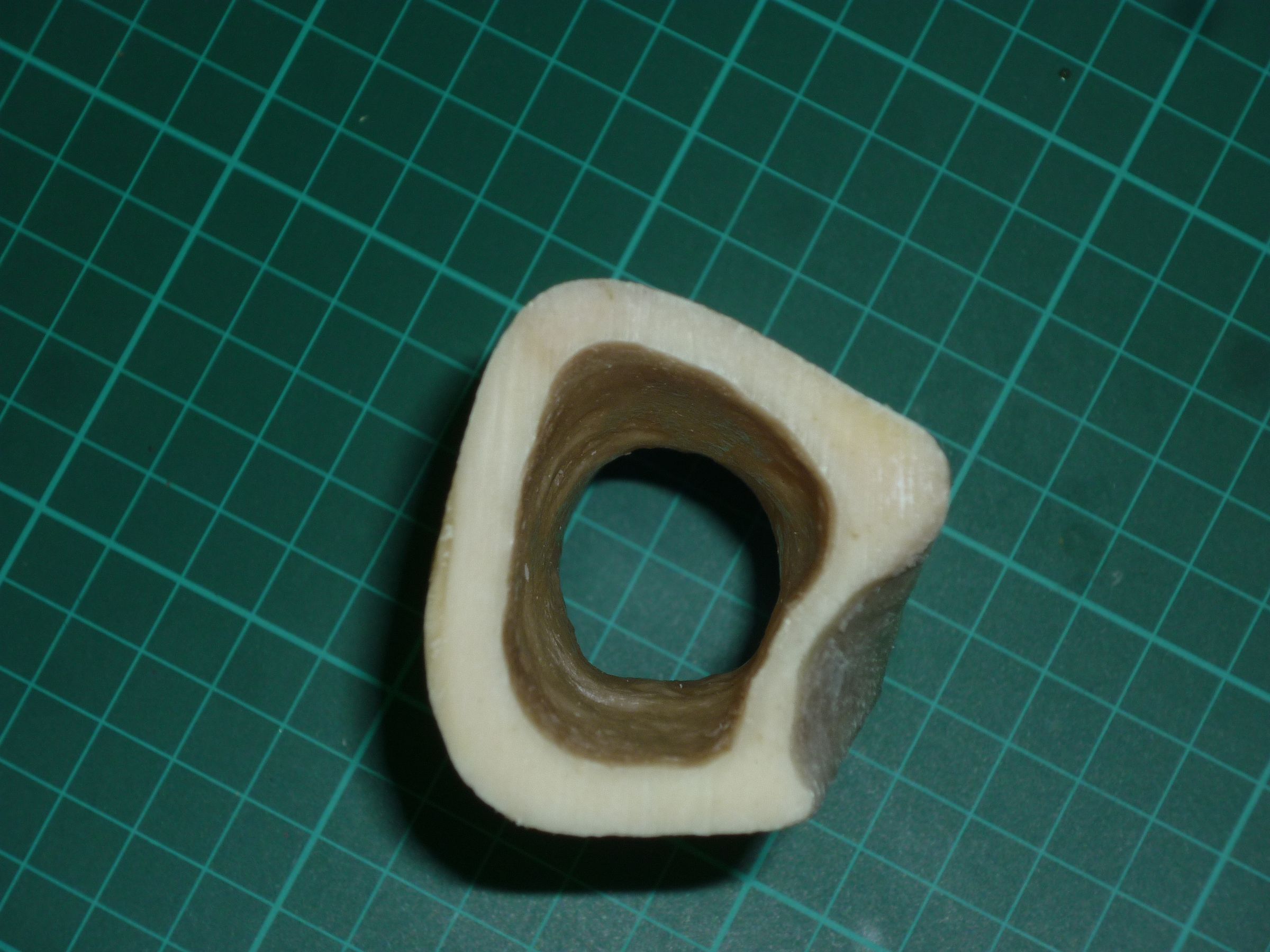 Prepare Bone for Carving : 8 Steps - Instructables