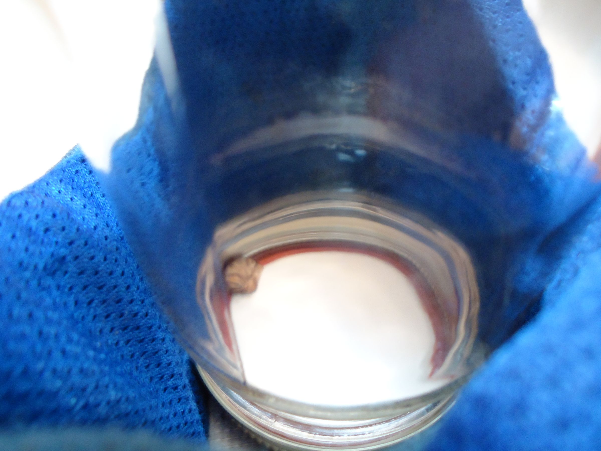 Tennis Shoe Repair: Torn Heel Linings : 8 Steps - Instructables