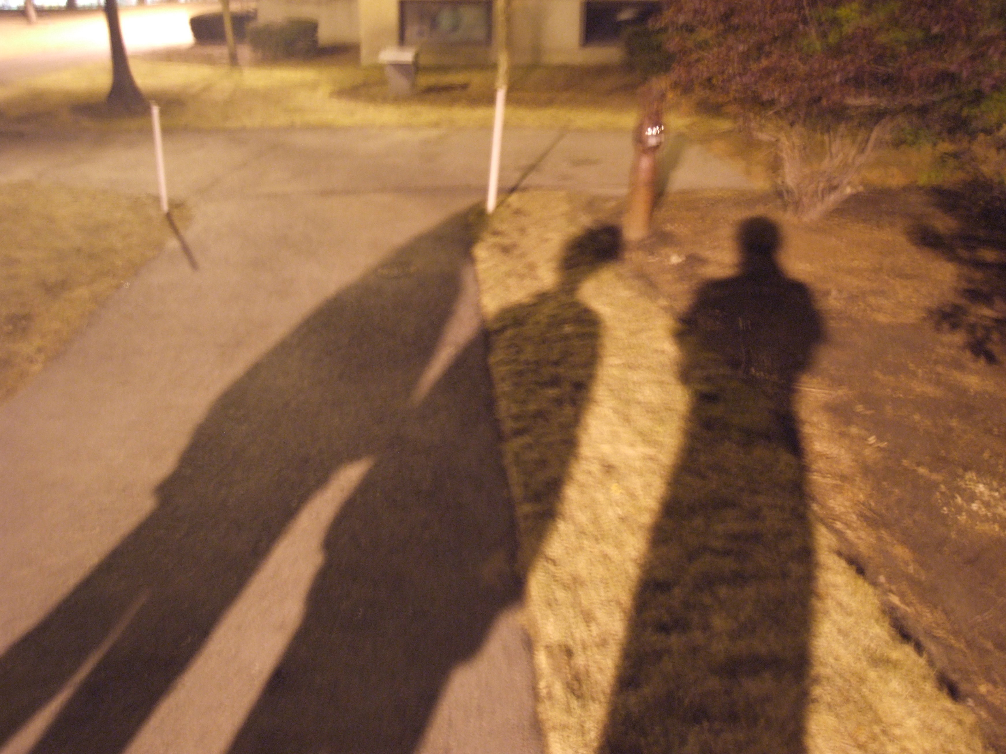 Basic Shadow Puppets : 4 Steps - Instructables