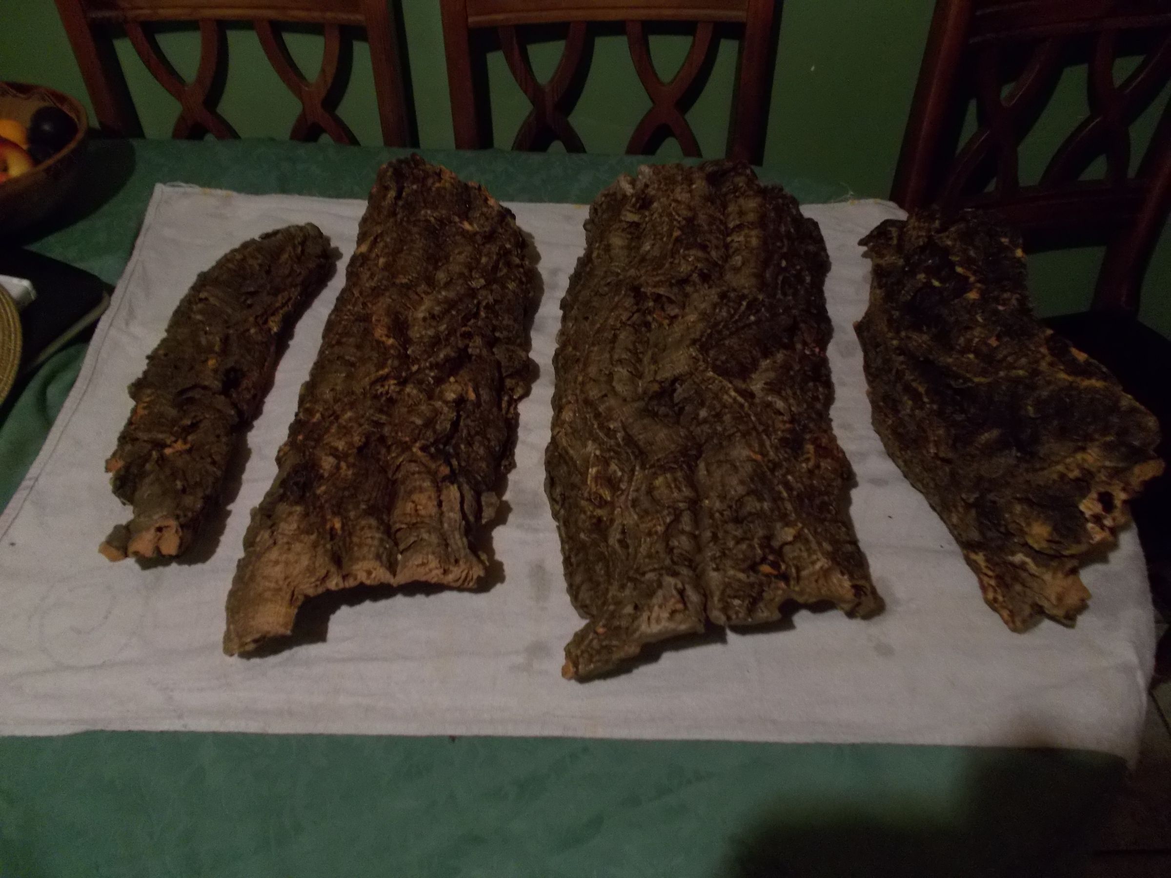 How to Setup a Snake Viv : 13 Steps - Instructables