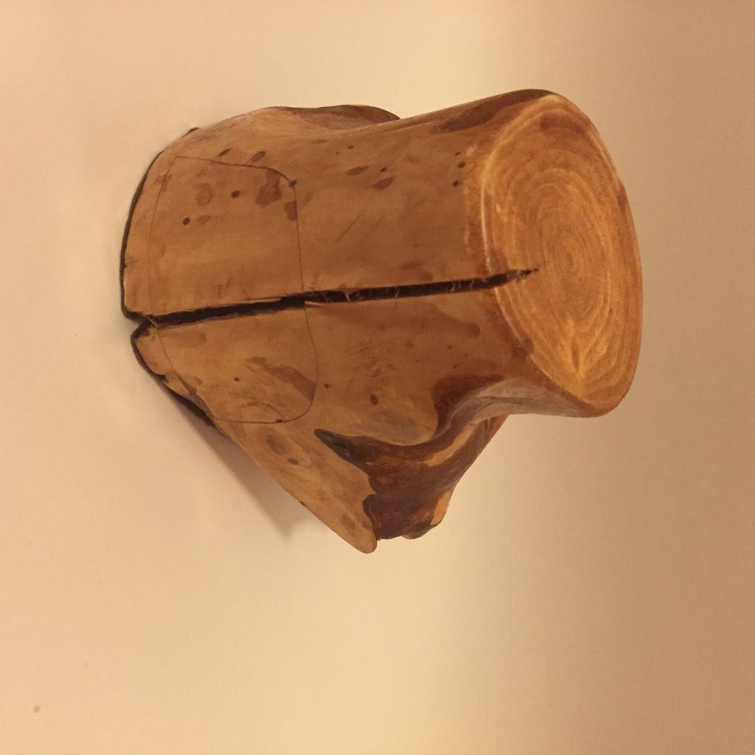 Bandsaw Box From Christmas Tree : 7 Steps - Instructables