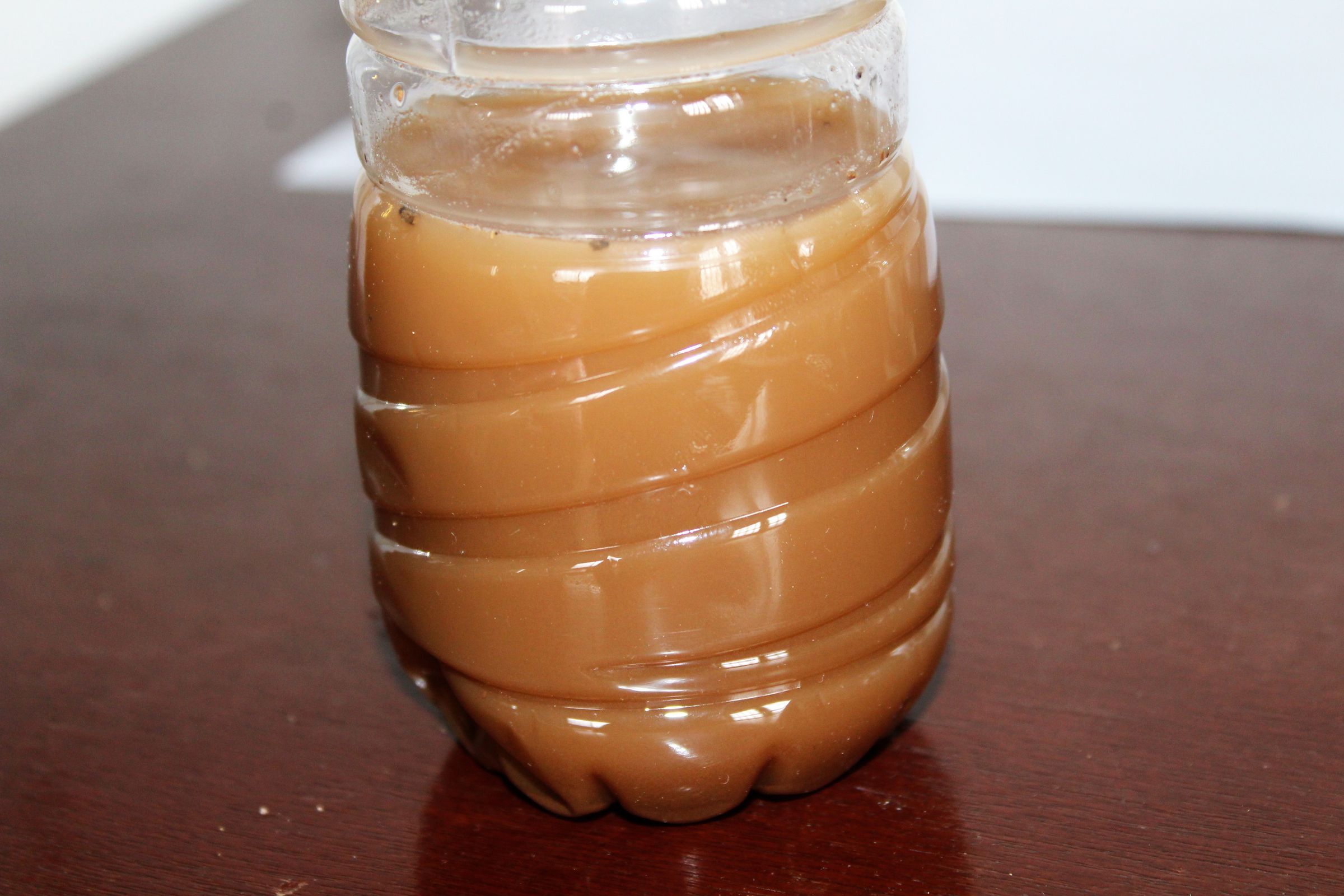 How to Make Easy Water Filtration : 11 Steps - Instructables