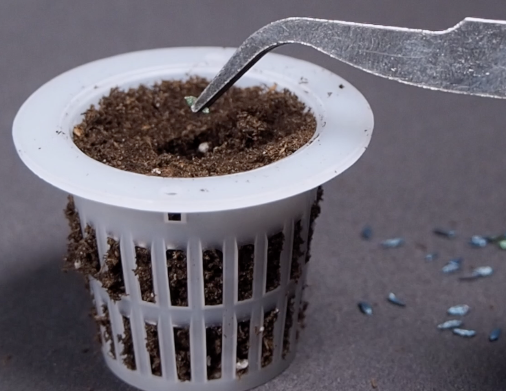Make Your Hydroponics System Fully Automated and View Data Via the ...