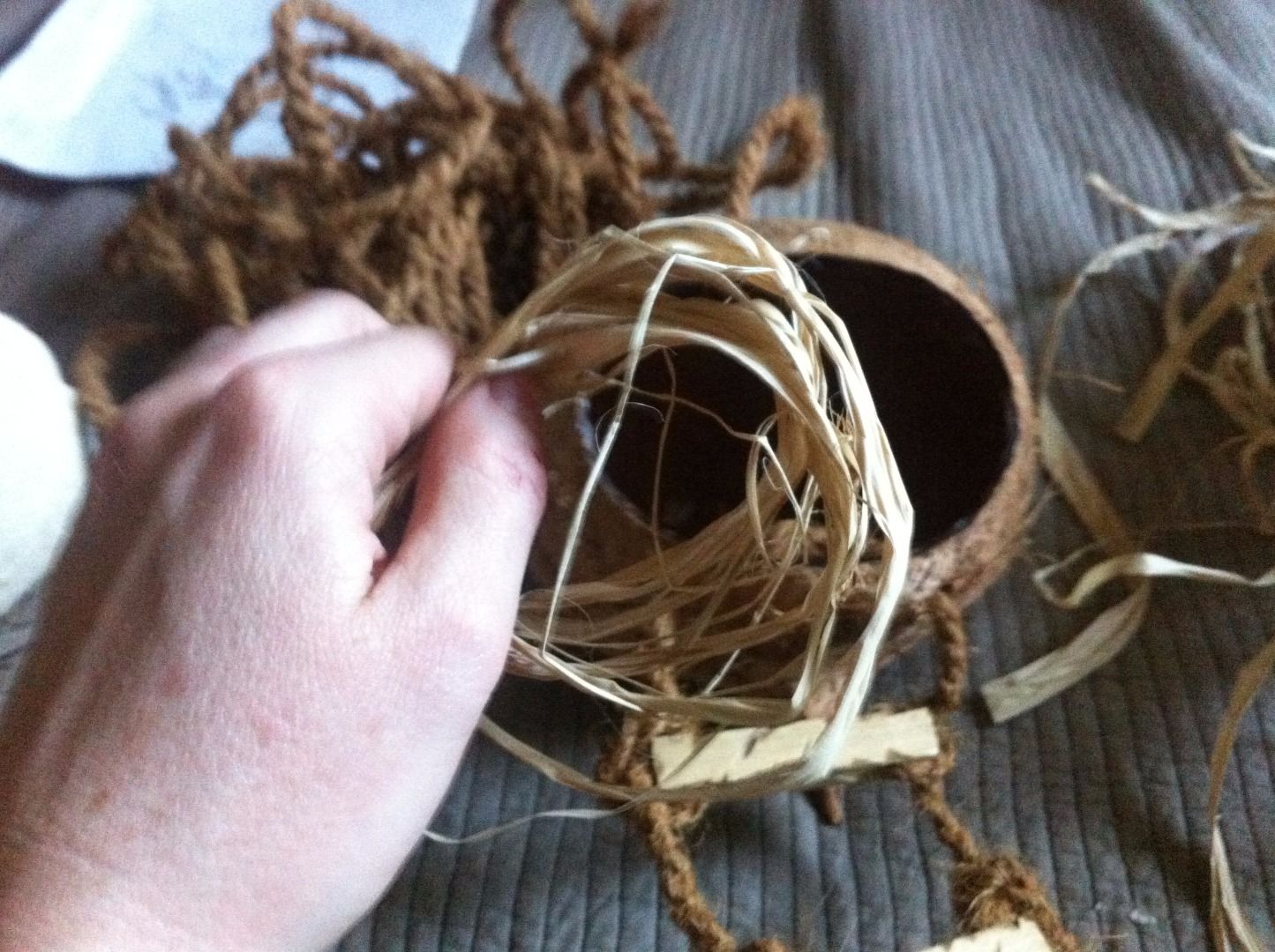 Coconut Hut | a Home for Birds & Creatures : 6 Steps (with Pictures ...