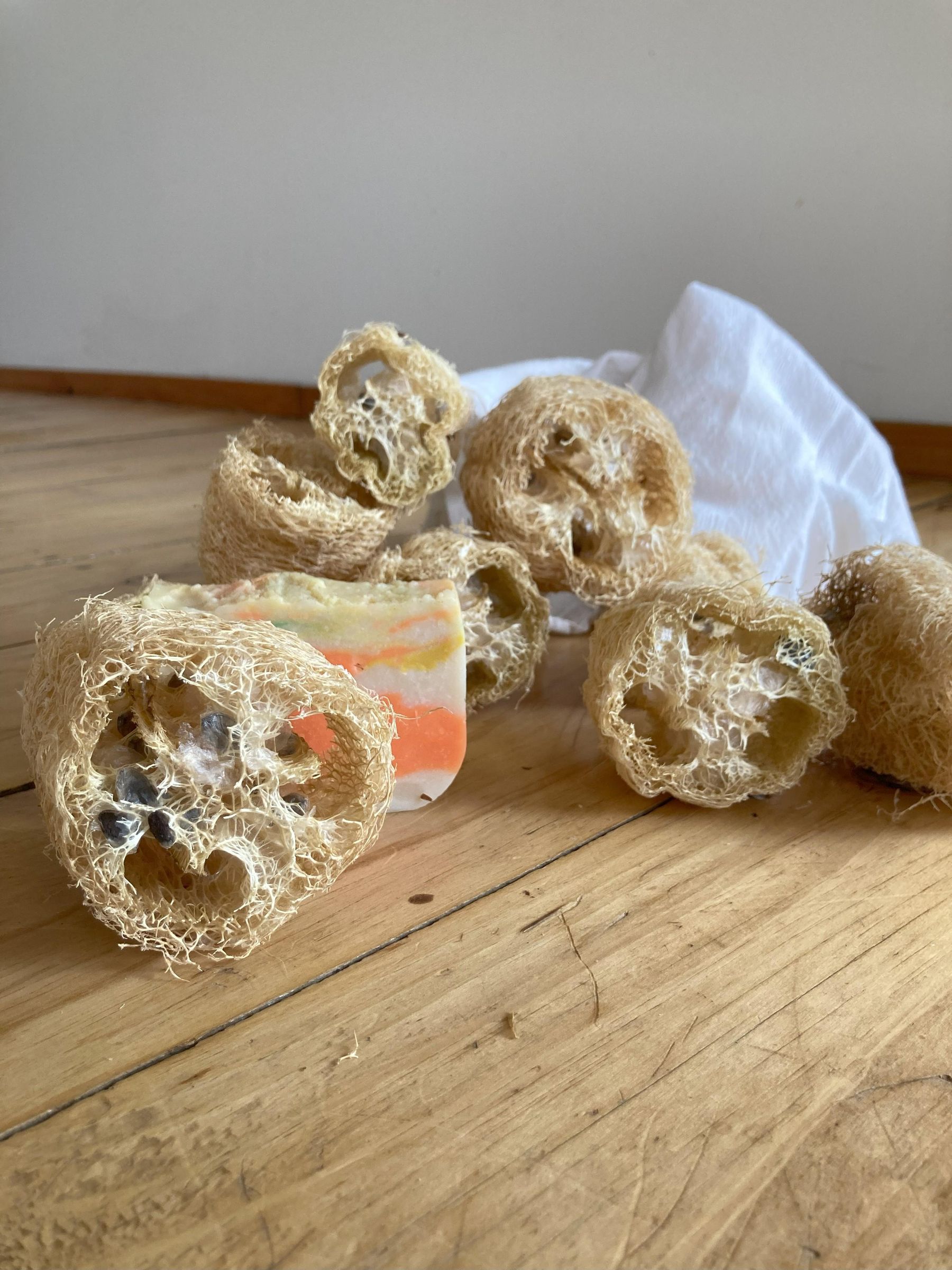Growing Luffa for Compostable Cleaning Sponges : 8 Steps (with Pictures ...