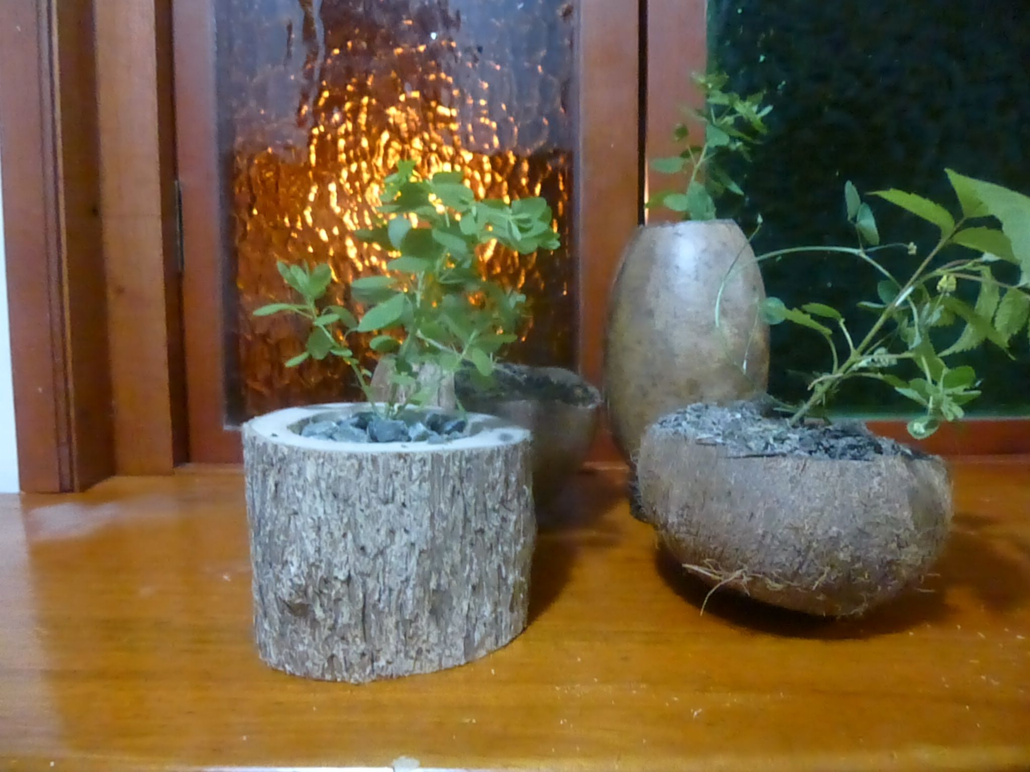 ORGANIC PLANTERS : 3 Steps - Instructables