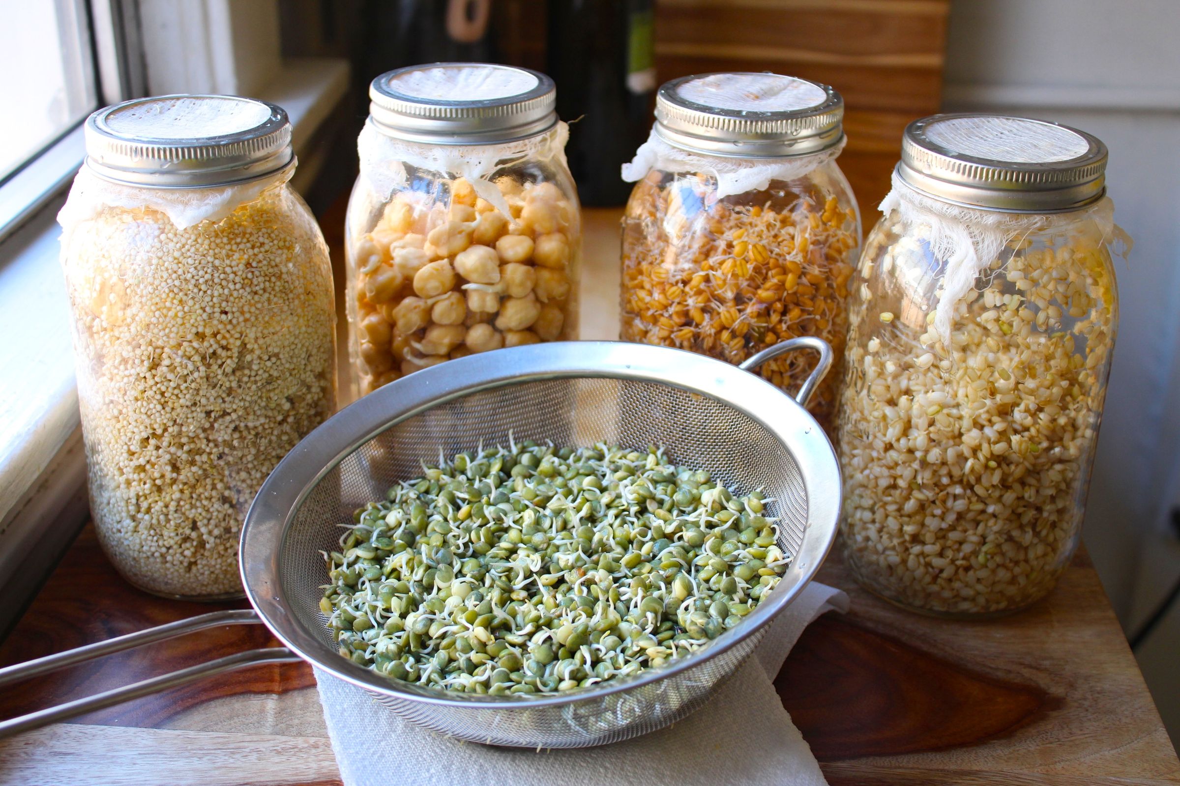 How to Sprout Grains and Beans : 5 Steps (with Pictures) - Instructables
