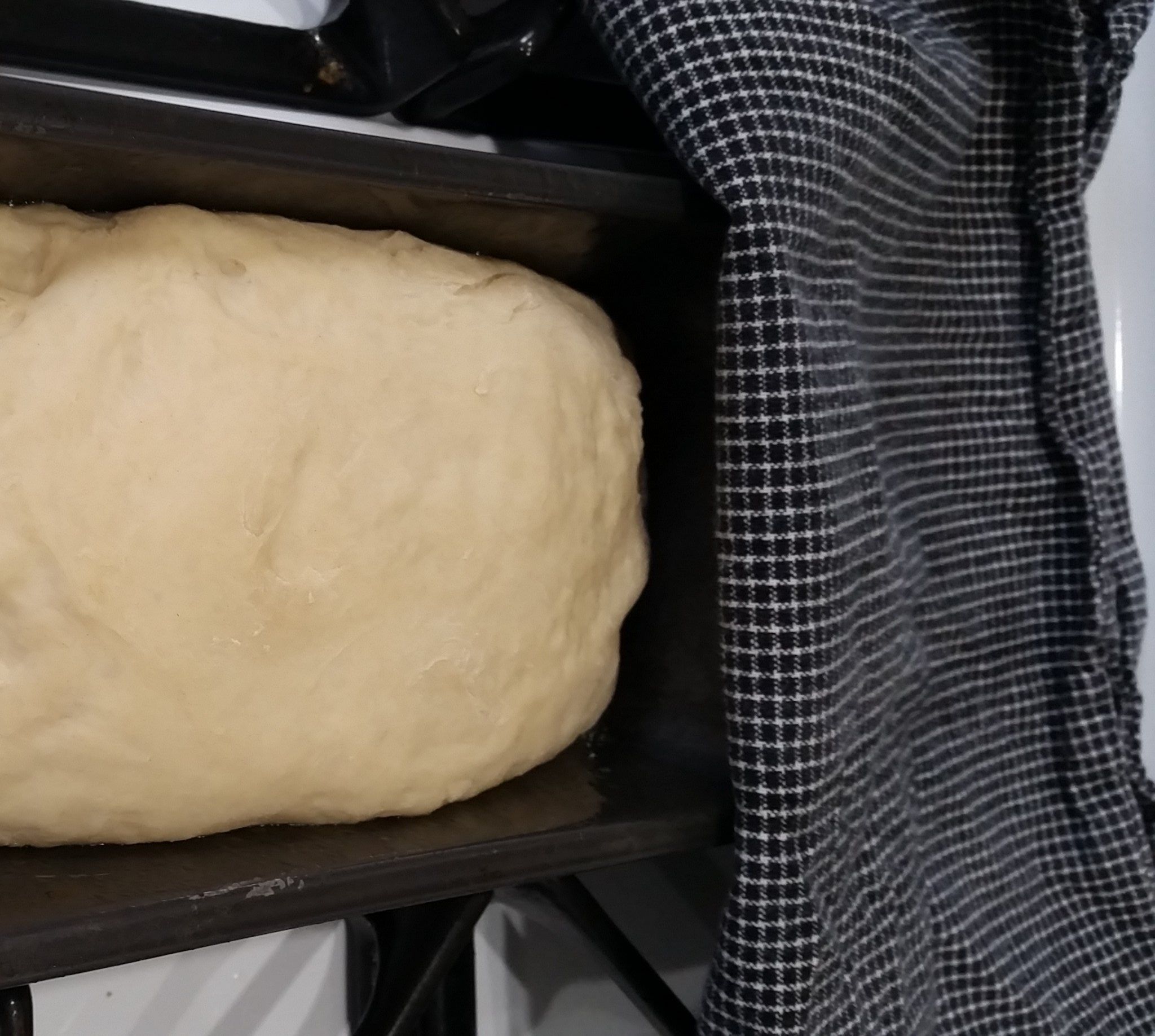 Bread in a Bag in 4 Easy Steps : 4 Steps (with Pictures) - Instructables