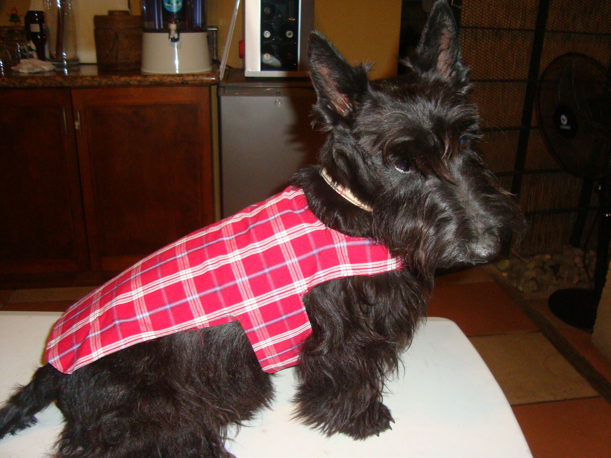 Dog Coat - Instructables