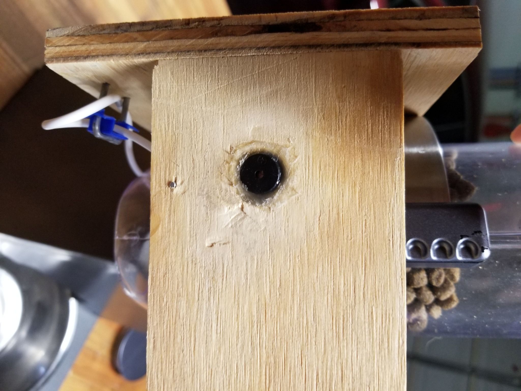 IoT Cat Feeder Using Particle Photon Integrated With Alexa, SmartThings, IFTTT, Google Sheets ...