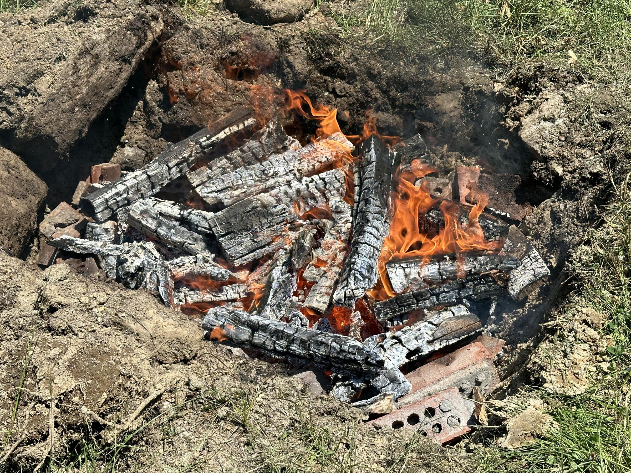 Paper Bag Pig in the Ground : 10 Steps (with Pictures) - Instructables