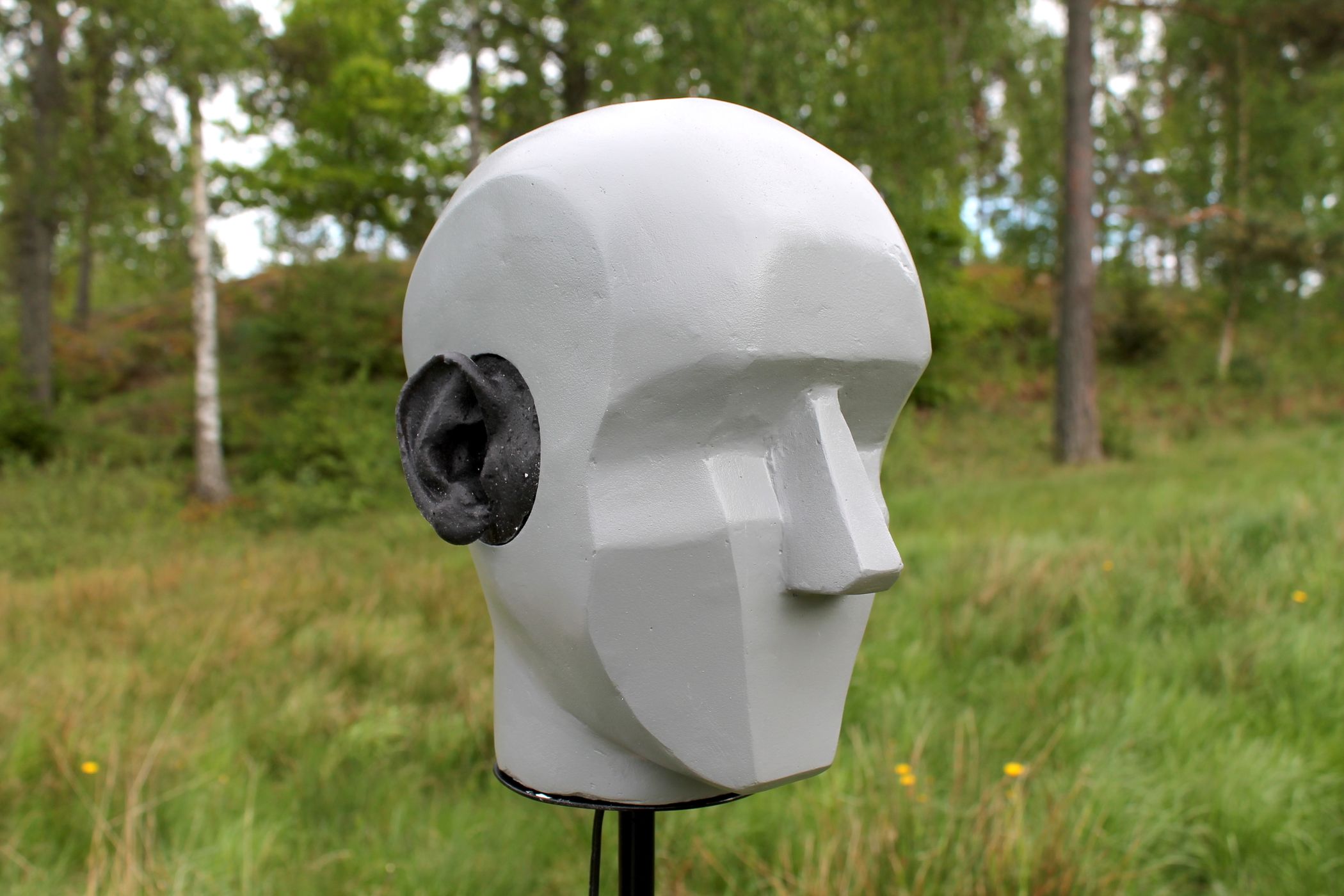 Binaural Head for Stereo Recording : 8 Steps (with Pictures ...
